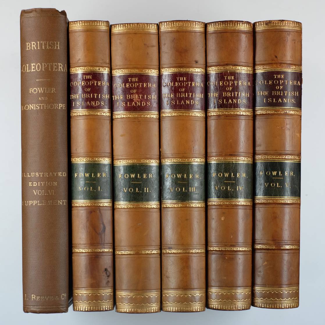 Lot 42 - Fowler, W.W.