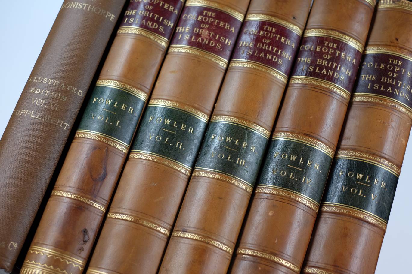 Lot 42 - Fowler, W.W.