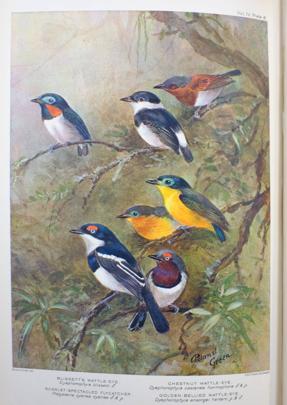 Lot 290 - Bannerman, David Armitage