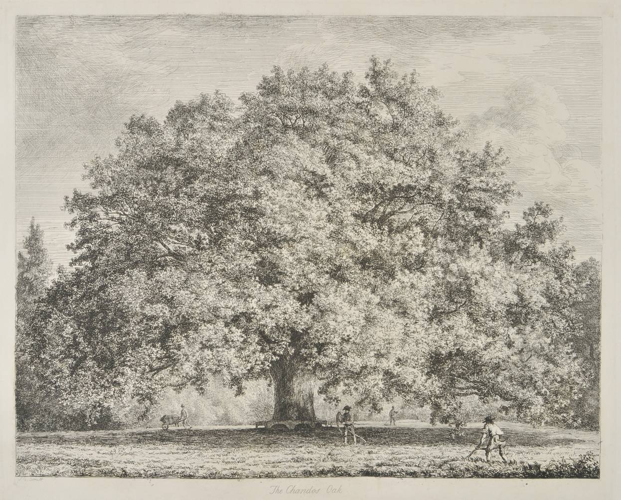 Lot 313 - Strutt, Jacob George, 1790-1864