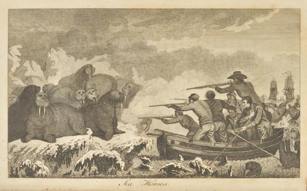 Lot 5 - Cook, Captain James