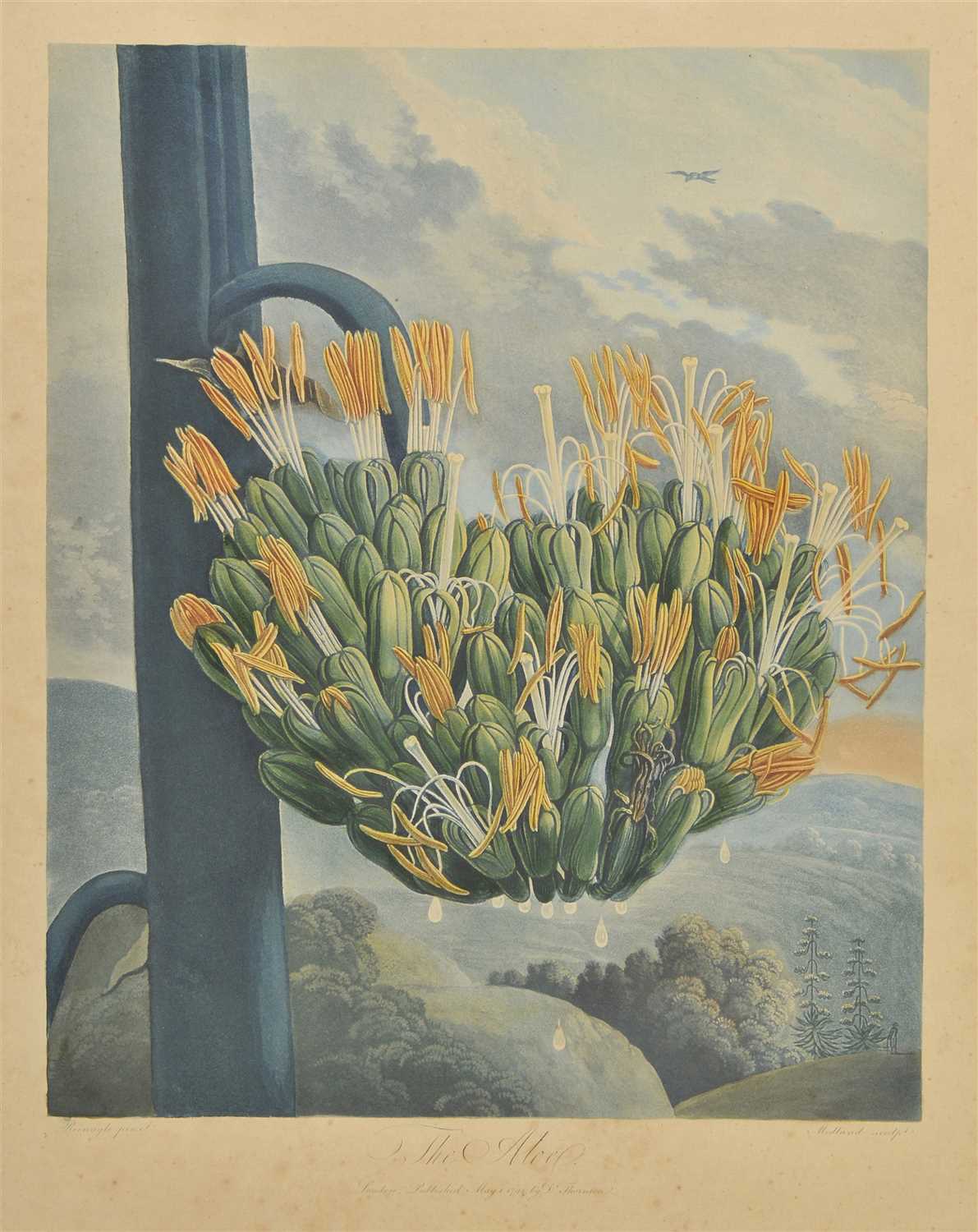 Lot 335 - Medland, Thomas