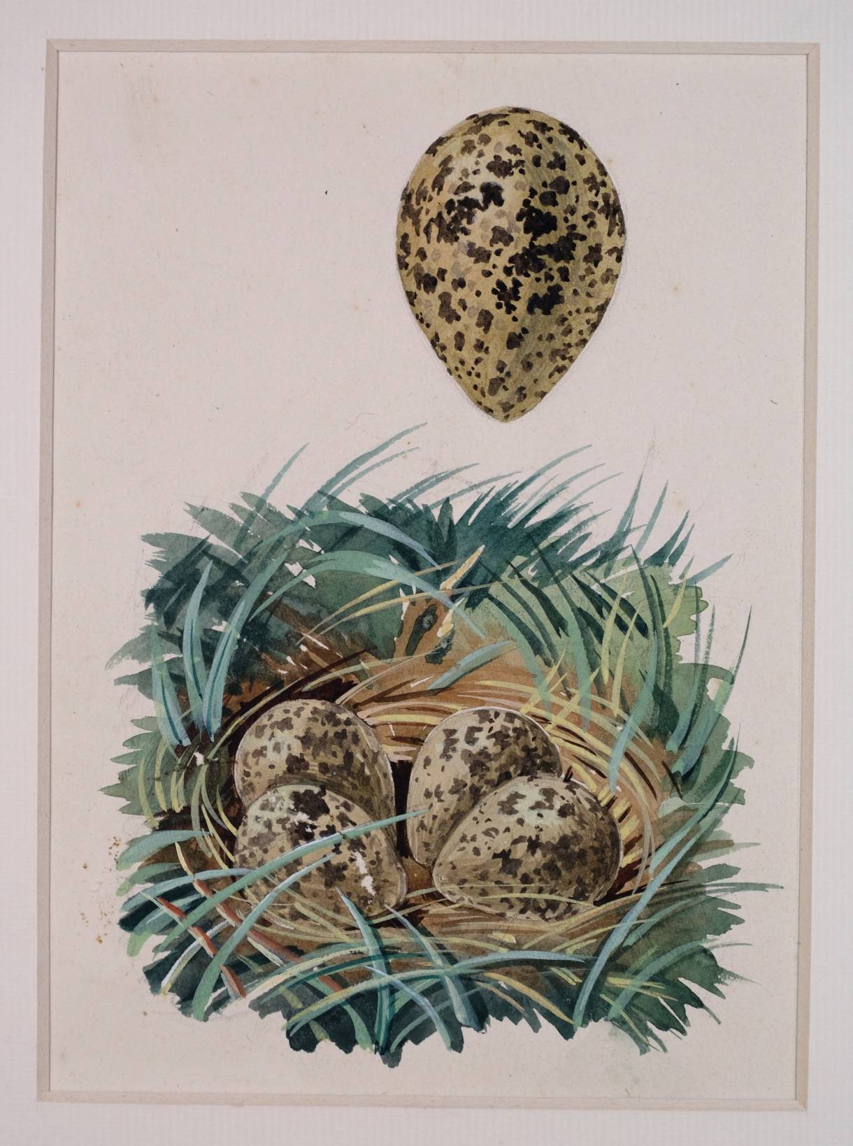 Lot 282 - Eldridge (Mildred Elsie, 1909-1991).