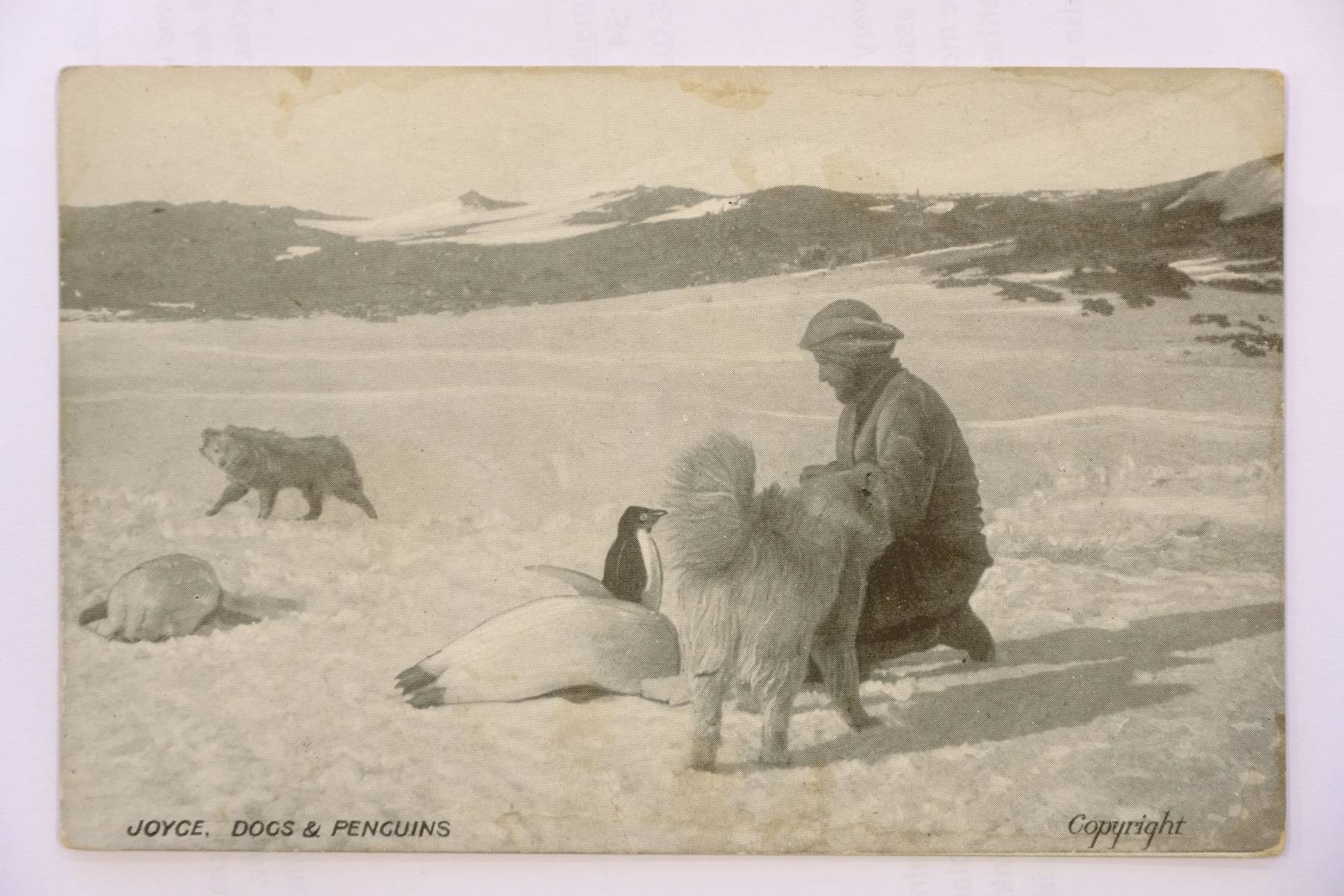 Lot 155 - Polar Postcards.