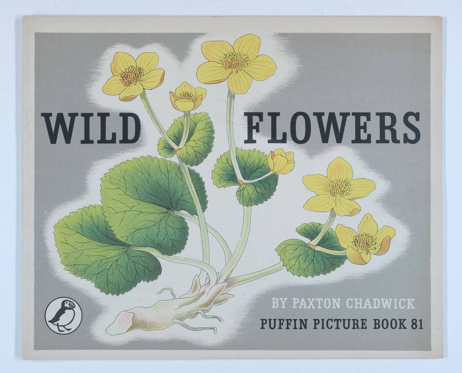 Lot 581 - Puffin Picture Books.