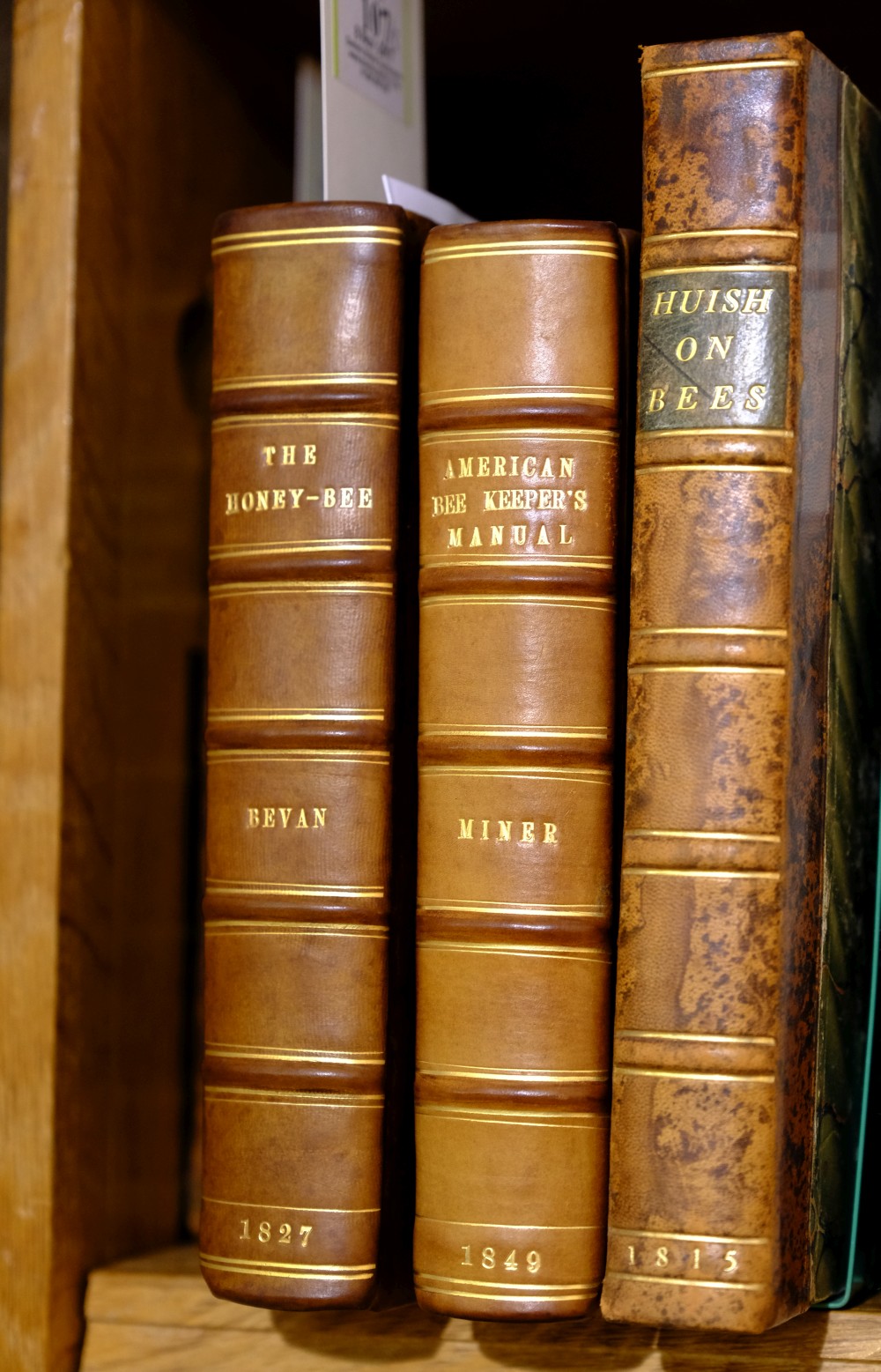 Lot 107 - Bevan, Edward