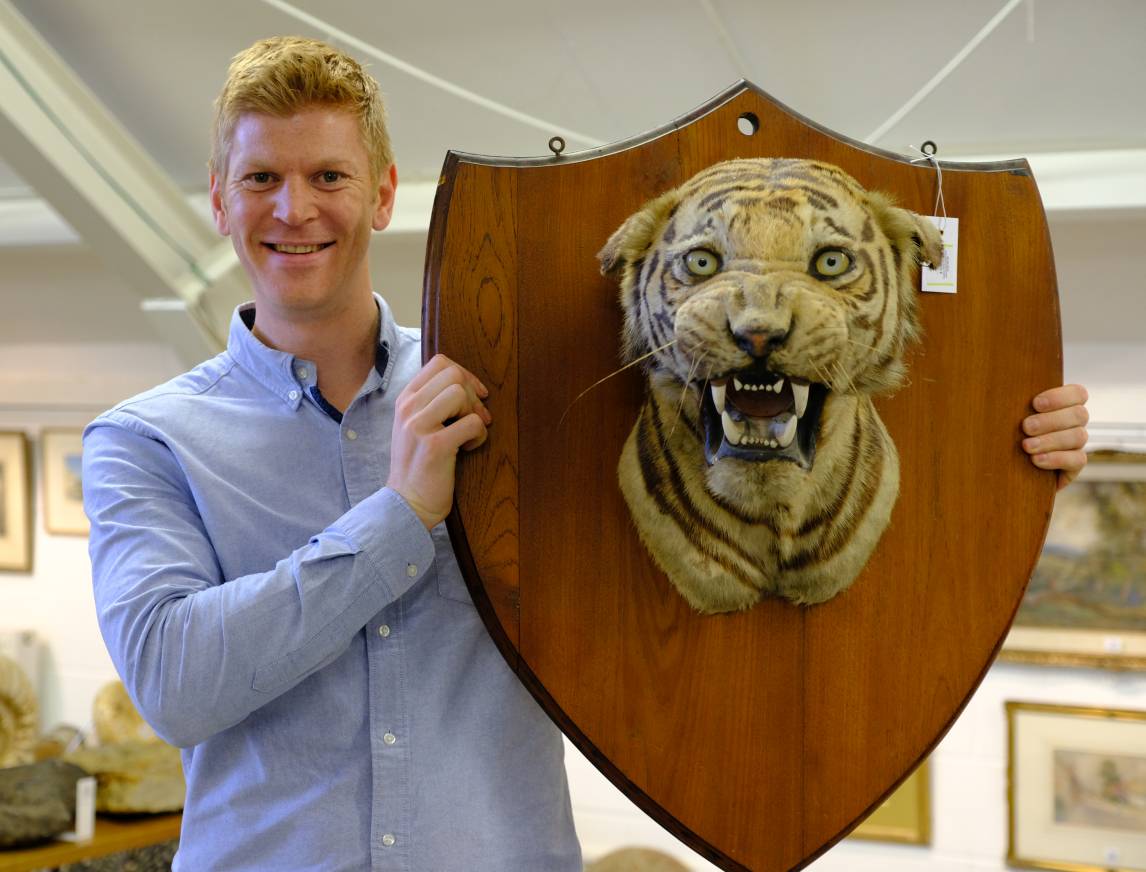 Lot 163 - Taxidermy.