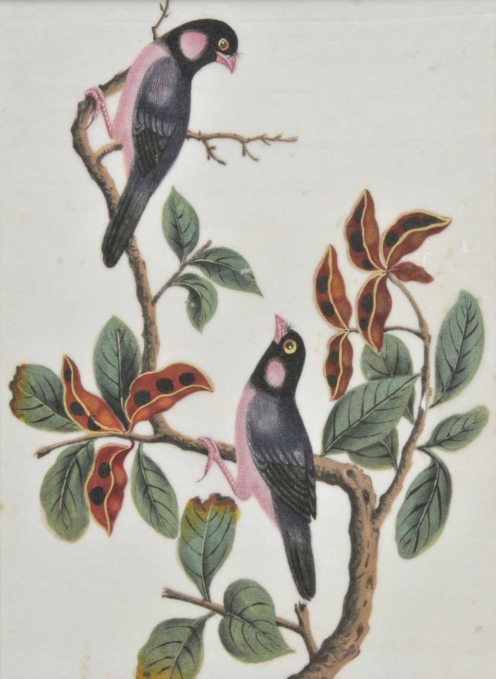 Lot 261 - Chinese rice paper drawings.