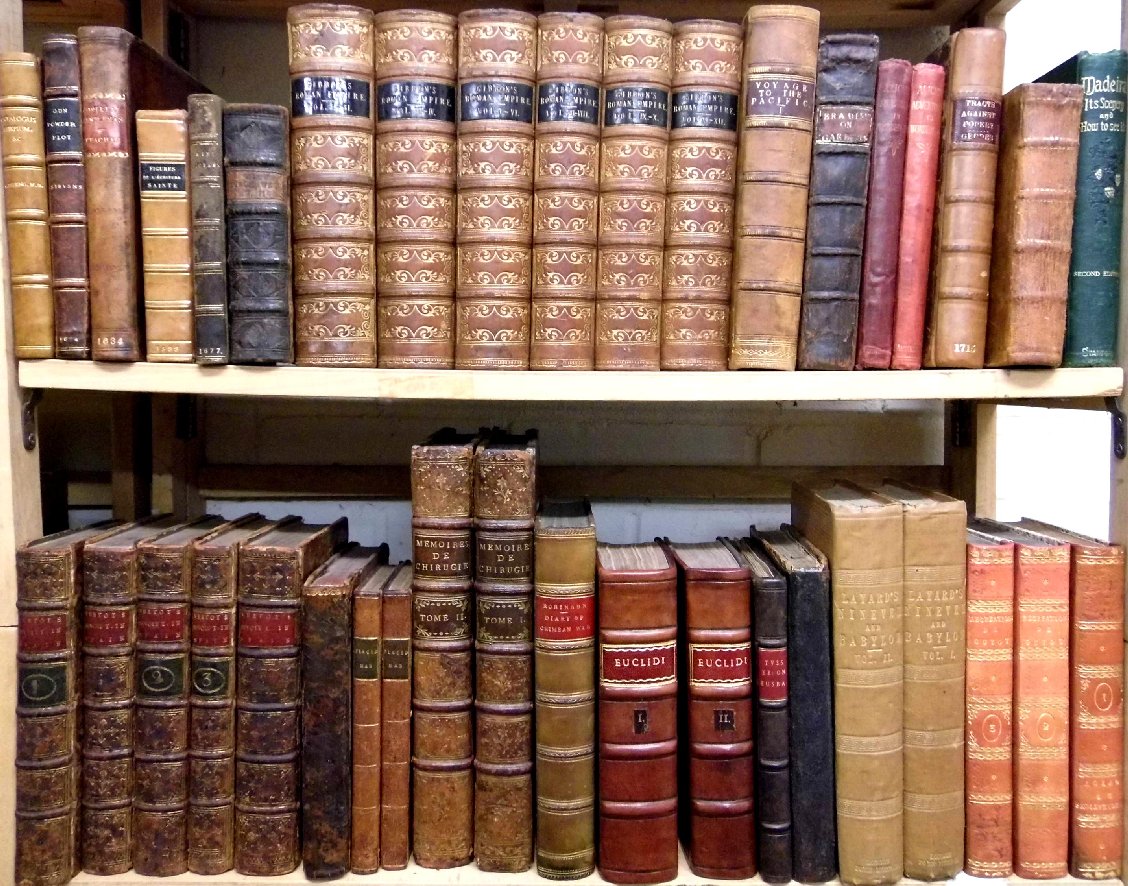 Lot 578 - Person (David)