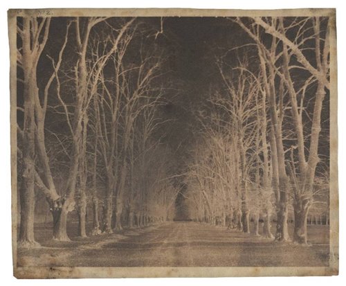 Lot 789 - Waxed Paper Negative.
