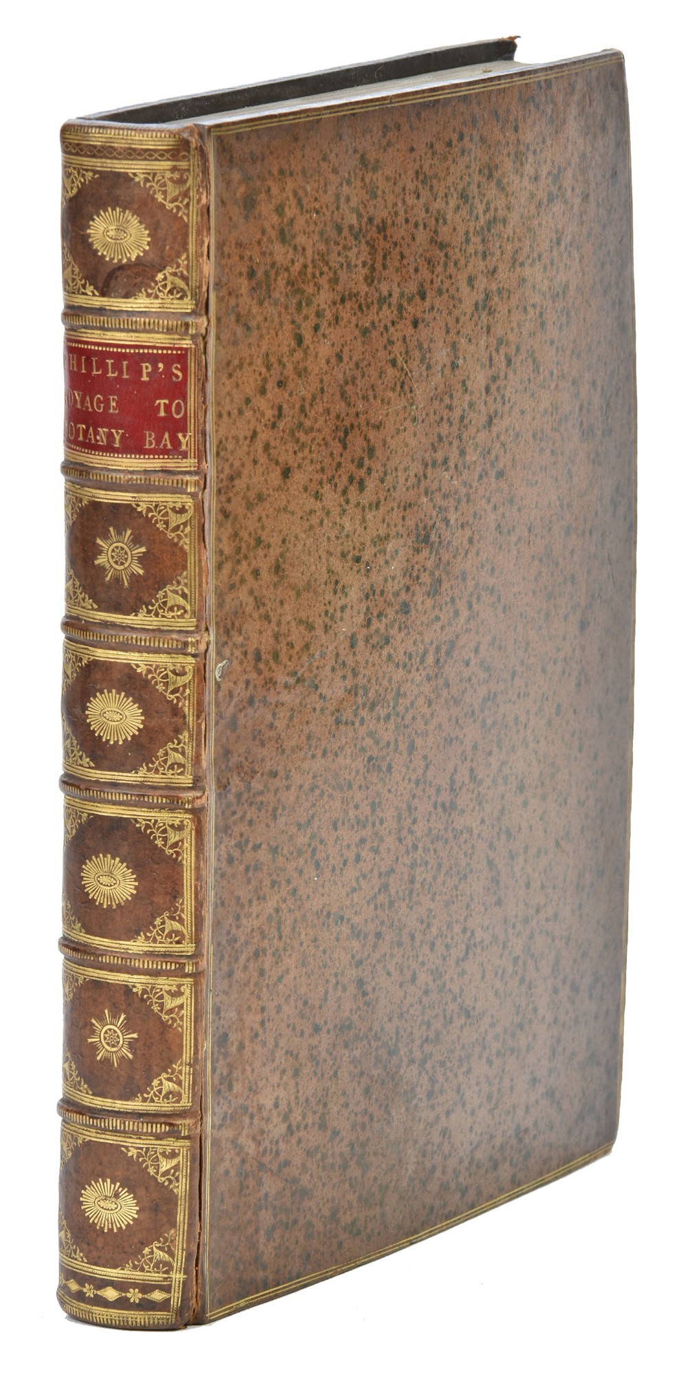 Lot 47 - Phillip (Arthur)