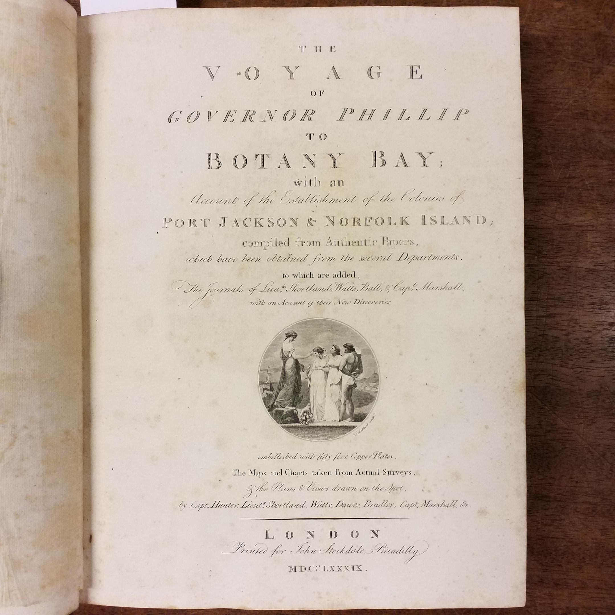 Lot 47 - Phillip (Arthur)