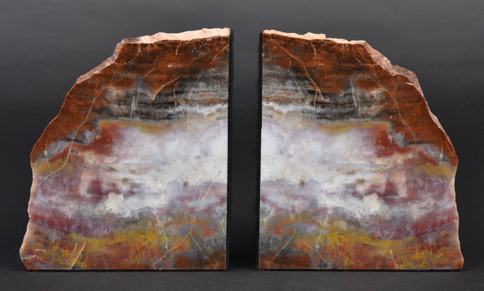 Lot 224 - Fossil Wood Bookends
