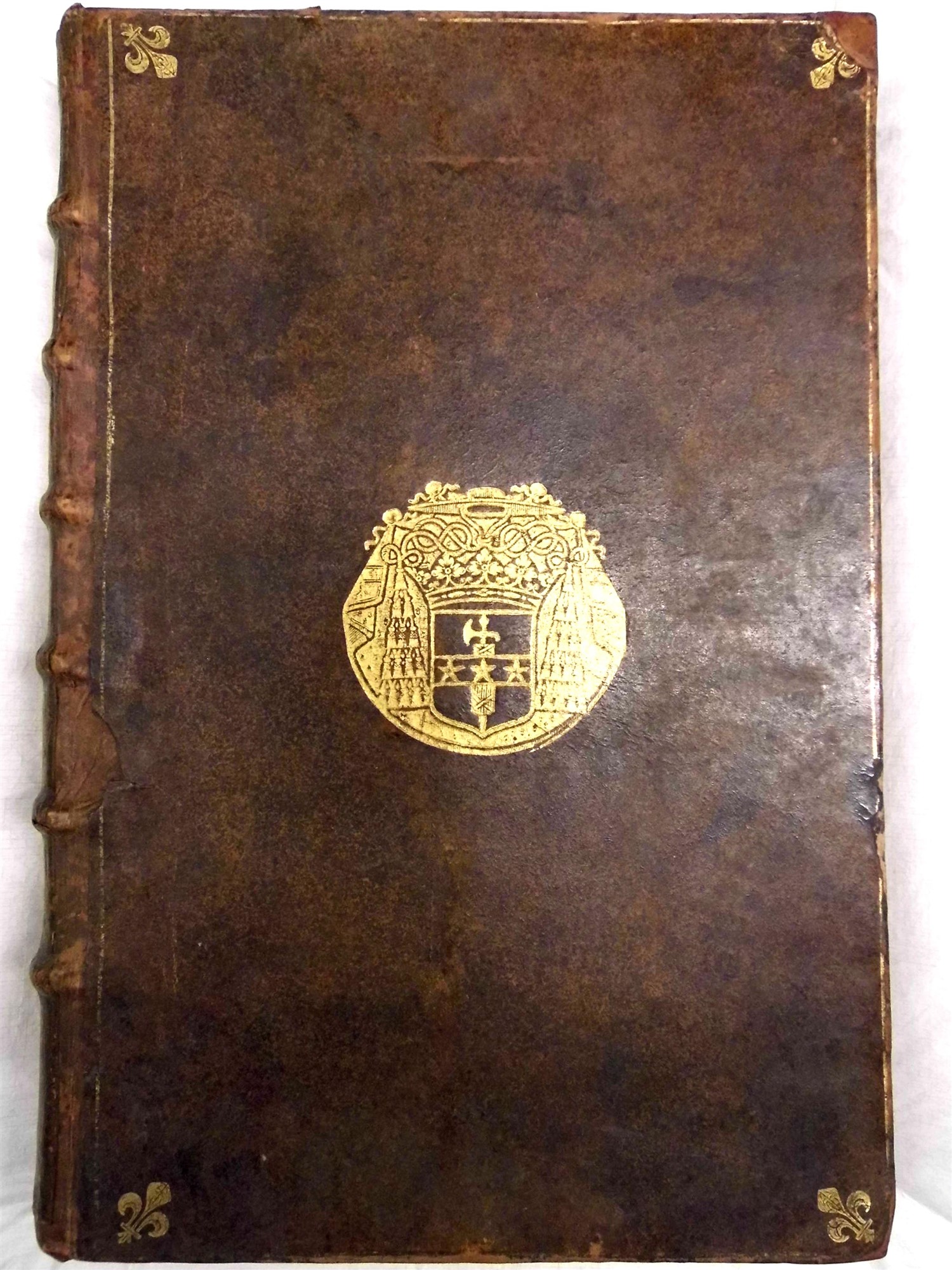 Lot 14 - Dapper (Olfert).