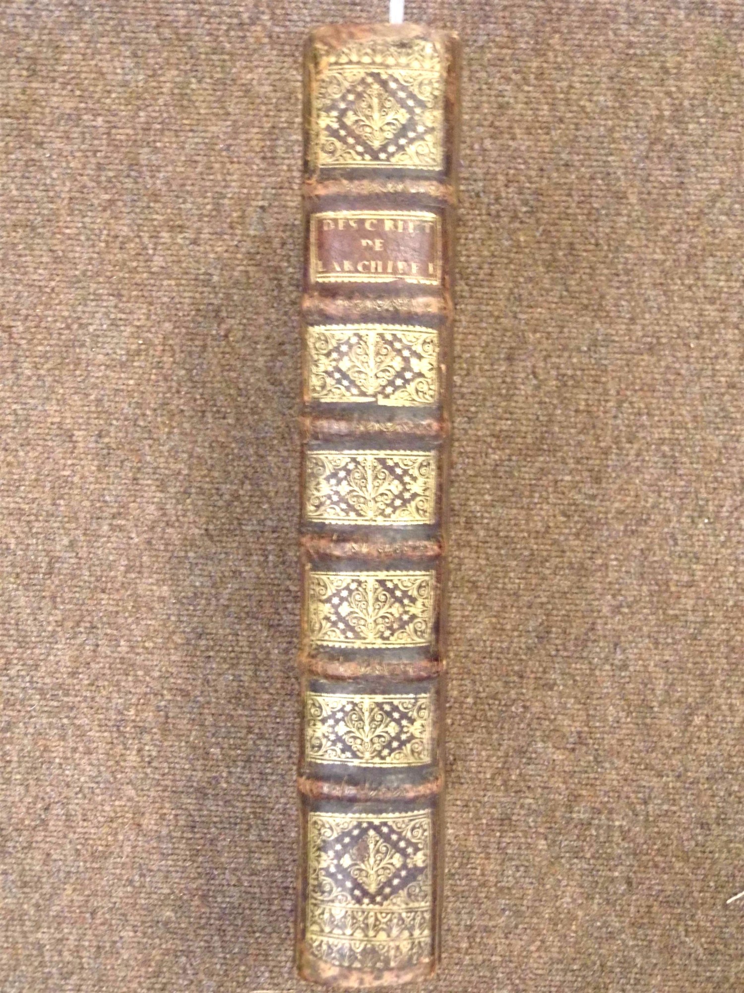 Lot 14 - Dapper (Olfert).