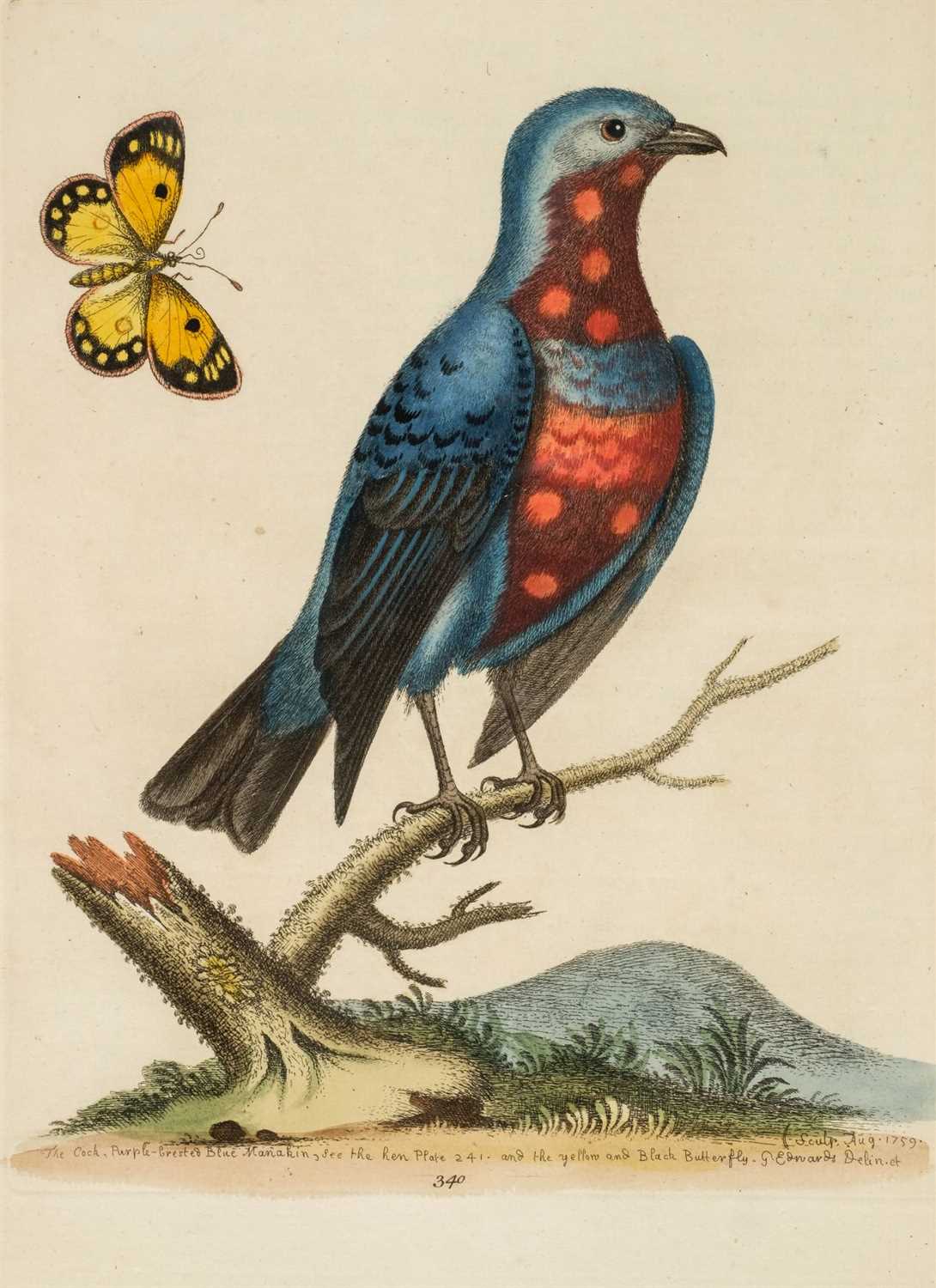 Lot 204 - Edwards (George). Natural History of