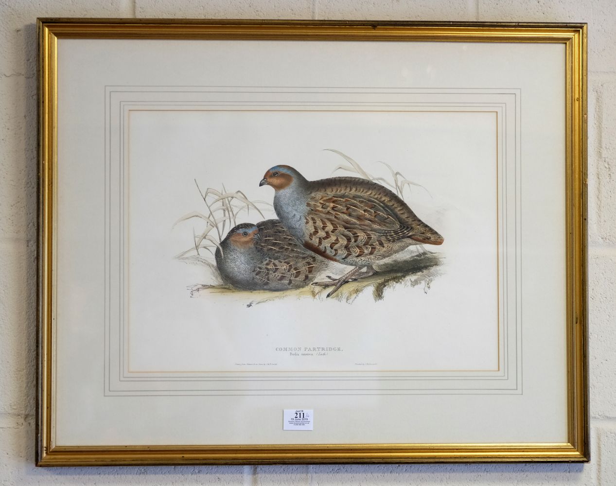 Lot 211 - Gould (John). Common Partridge [and others],