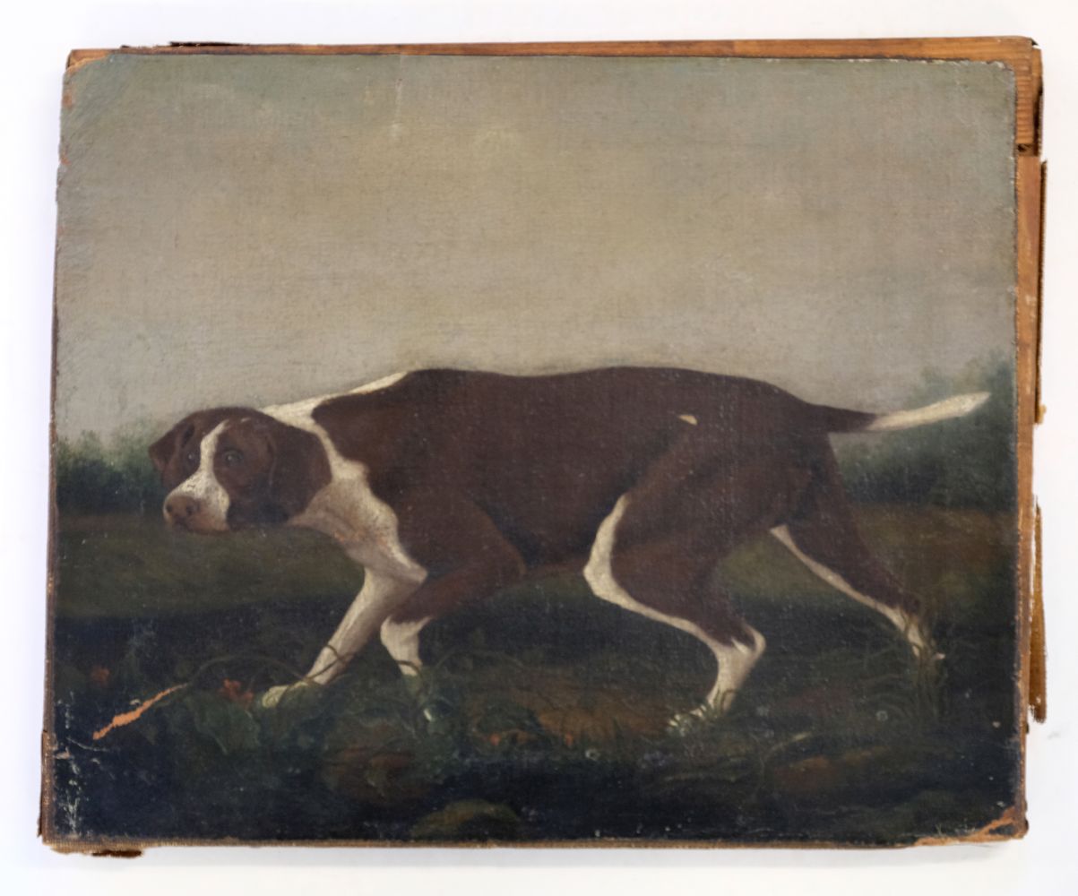 Lot 185 - English School. The Spanish Pointer, circa