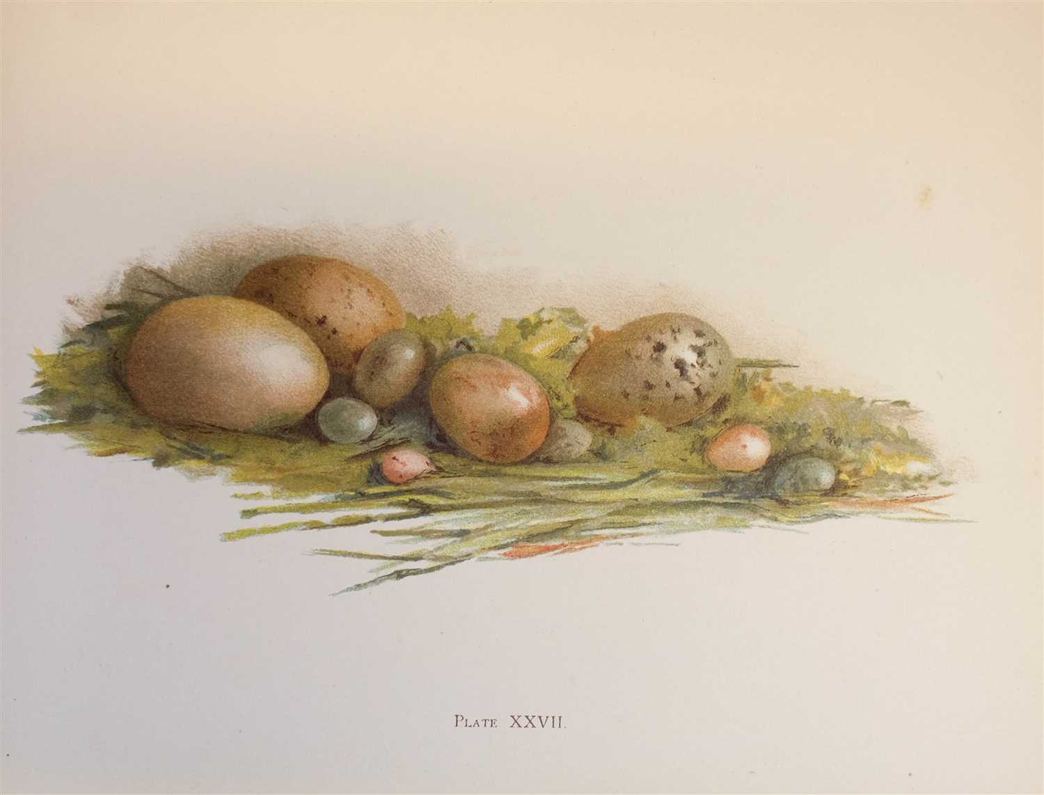 Lot 156 - Yeats, Elizabeth Corbet. Brushwork Studies