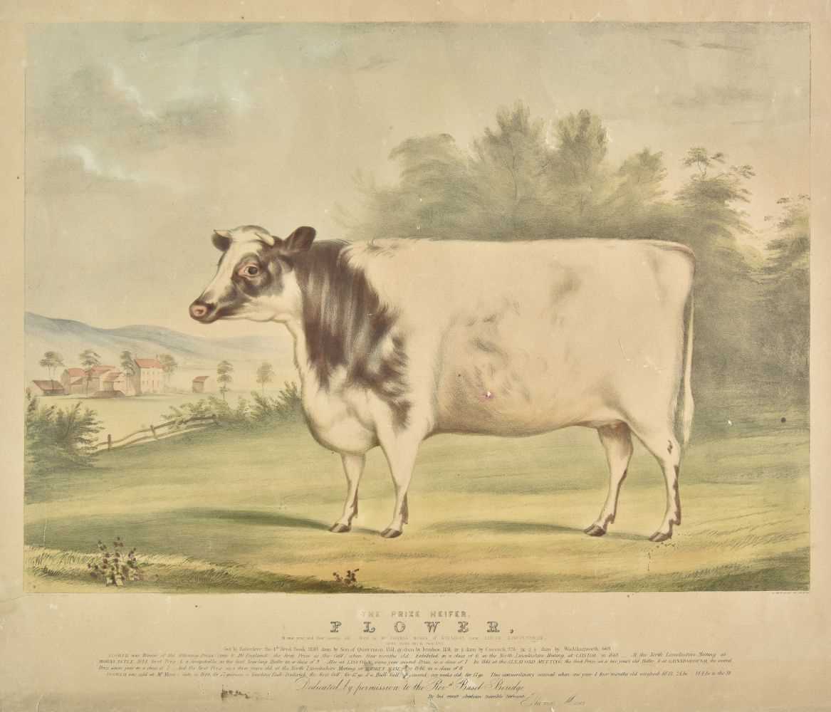 Lot 326 - Moody (C.). The Prize Heifer Flower, 1846