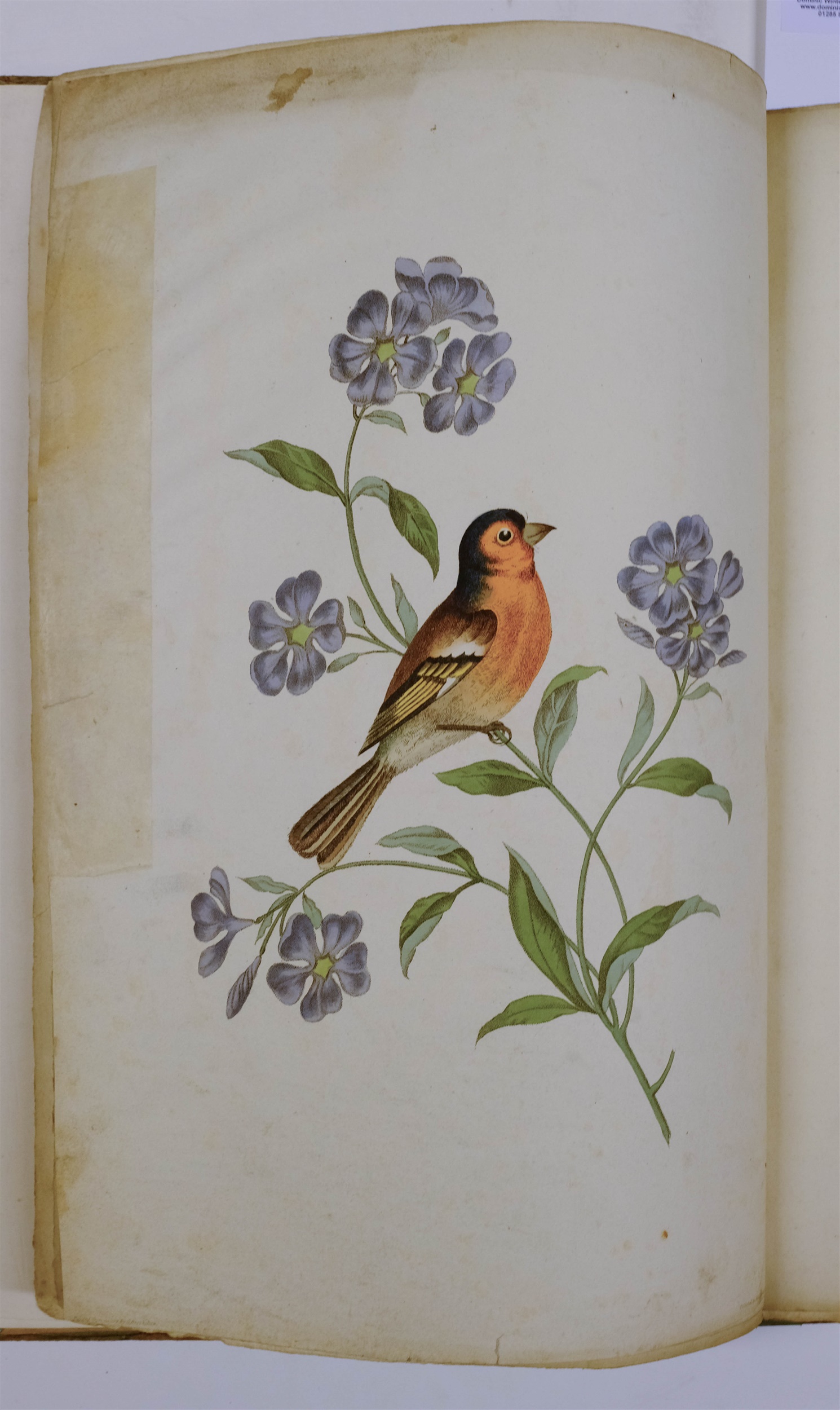 Lot 94 - Brookshaw (George). Six Birds, 1817