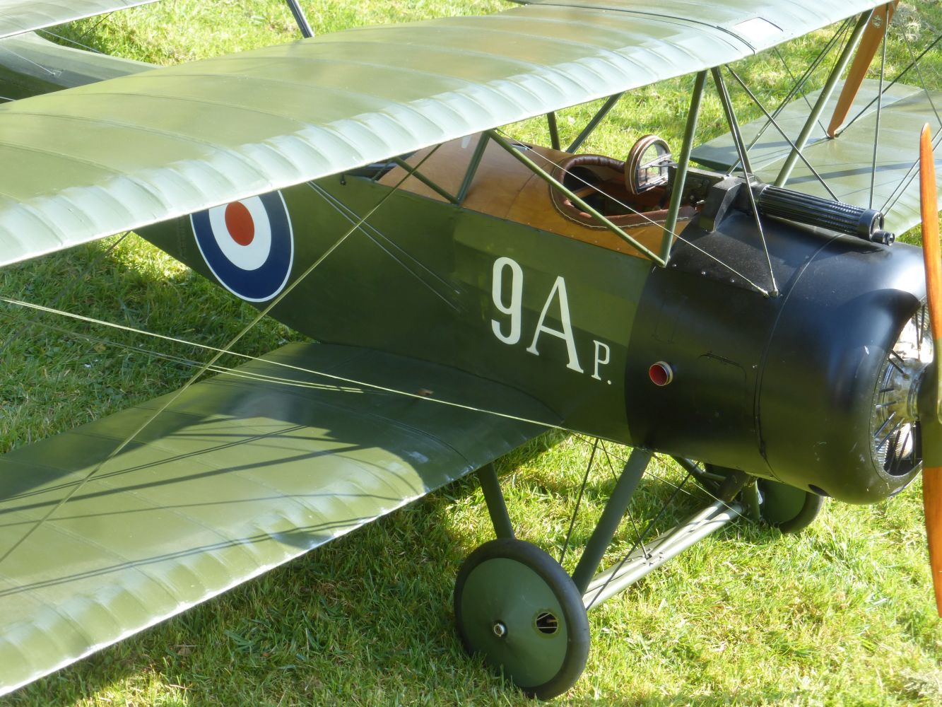 Lot 151 - Sopwith 1 1/2 Strutter. A fine quarter scale