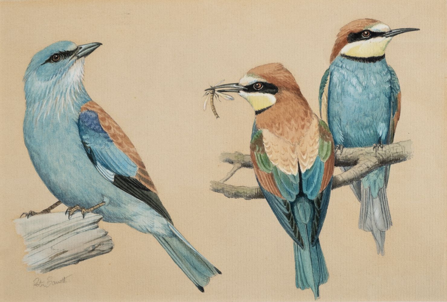 Lot 220 - Barrett (Peter, born 1935). A collection of