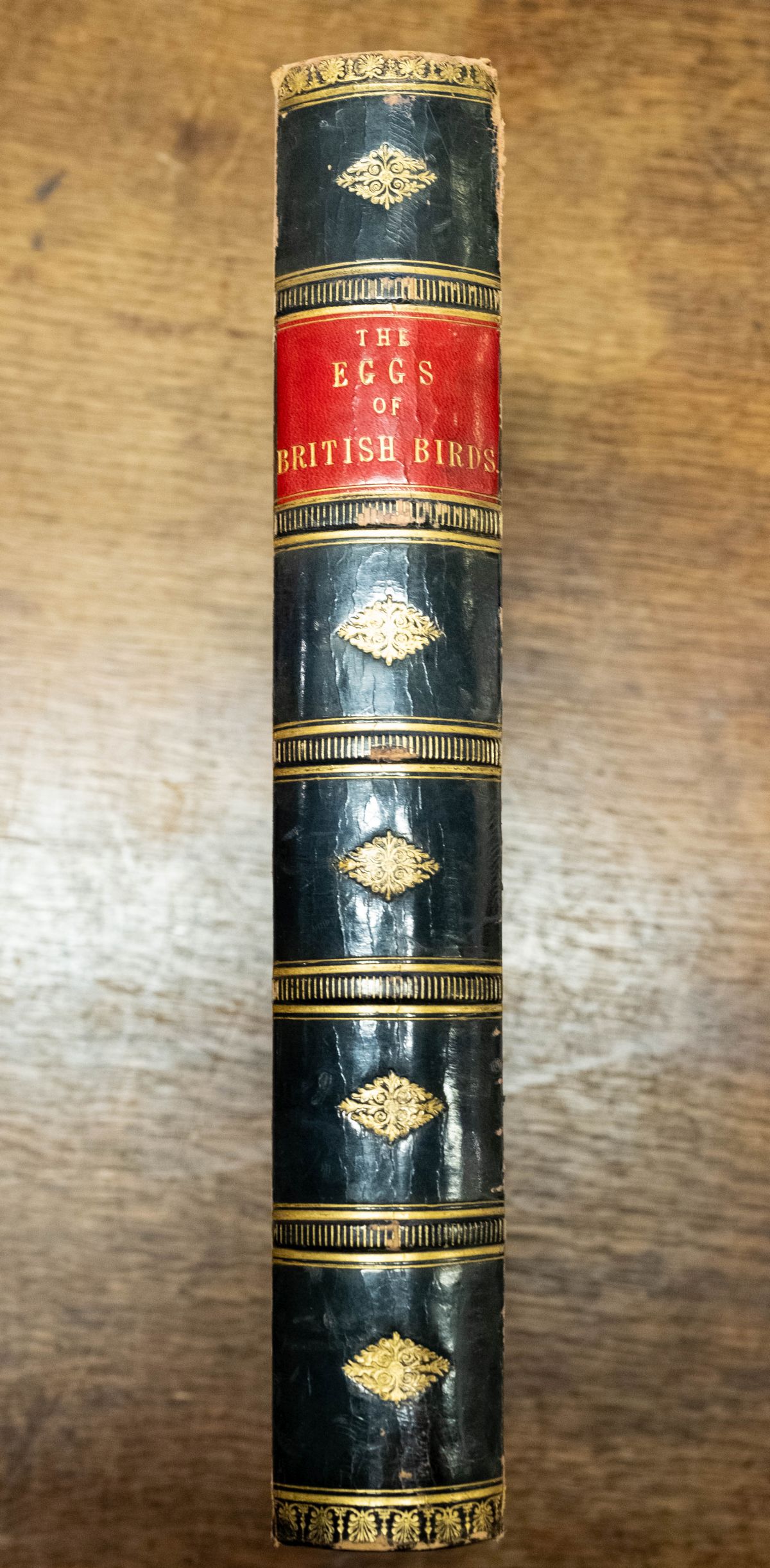 Lot 259 - Oology. 'The Nests and Eggs of British