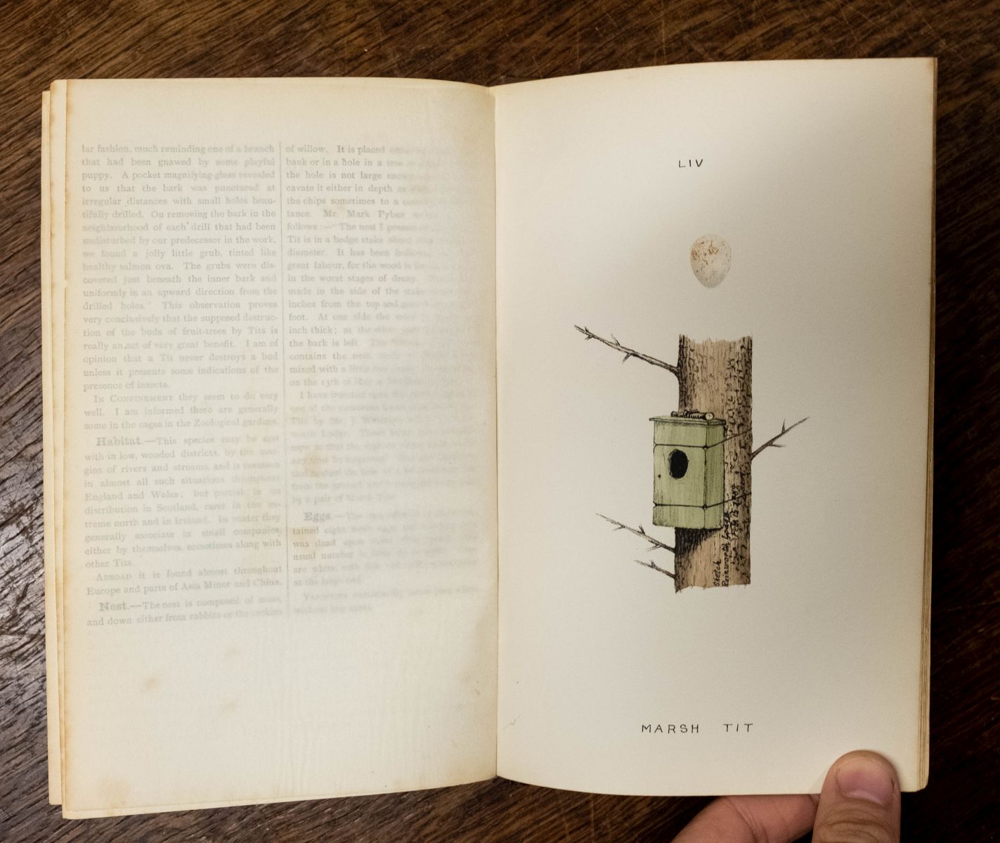 Lot 256 - Mosley (S. L.). A History of British Birds,