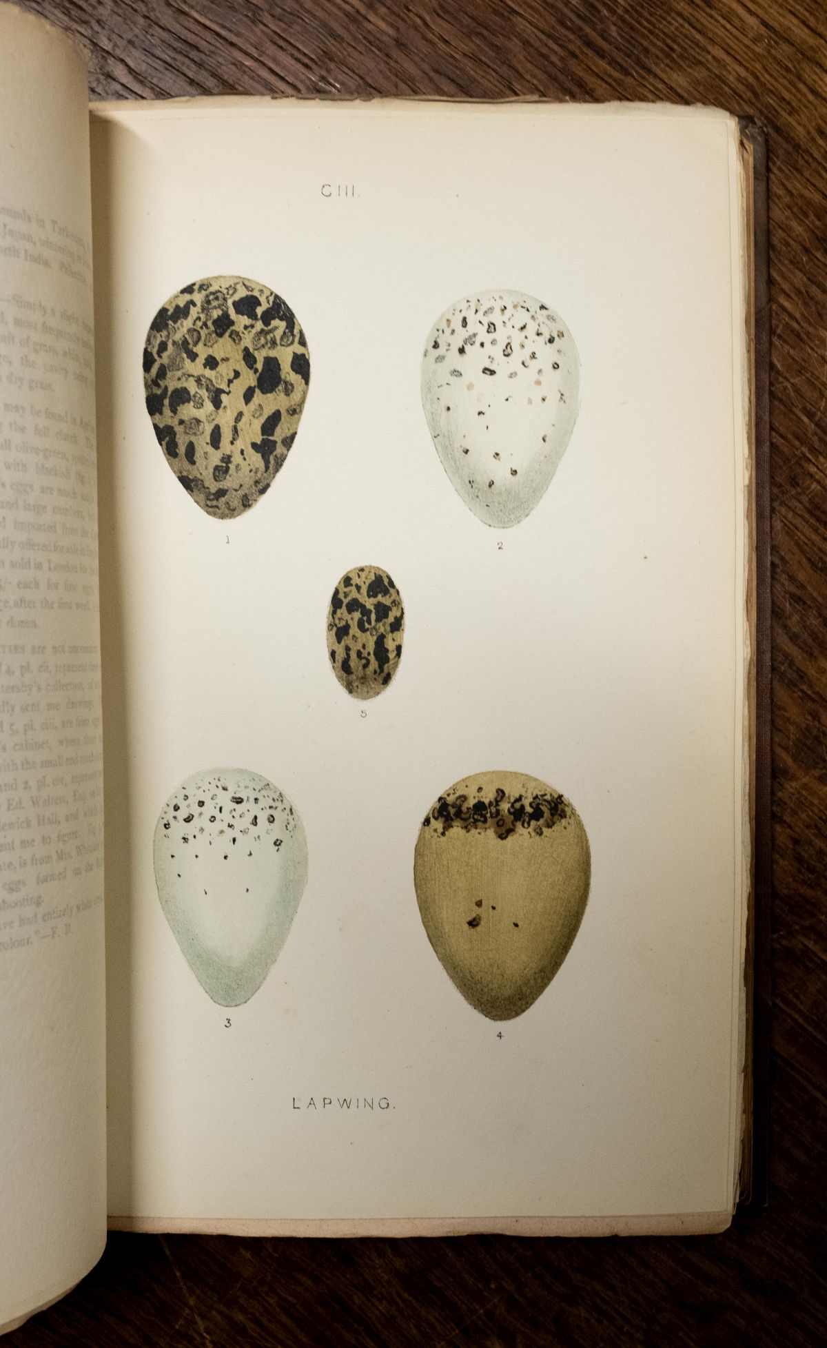 Lot 256 - Mosley (S. L.). A History of British Birds,