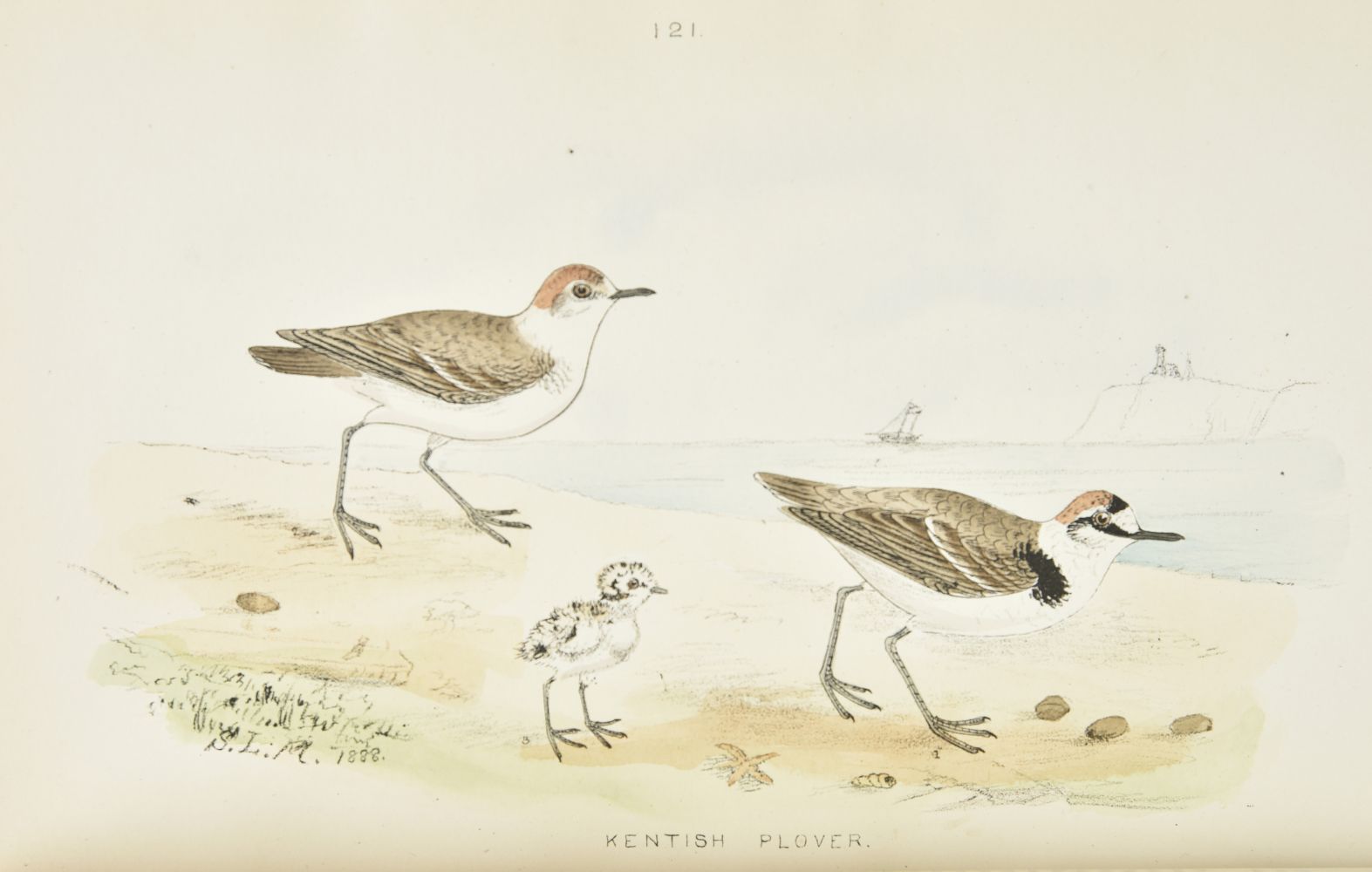 Lot 256 - Mosley (S. L.). A History of British Birds,