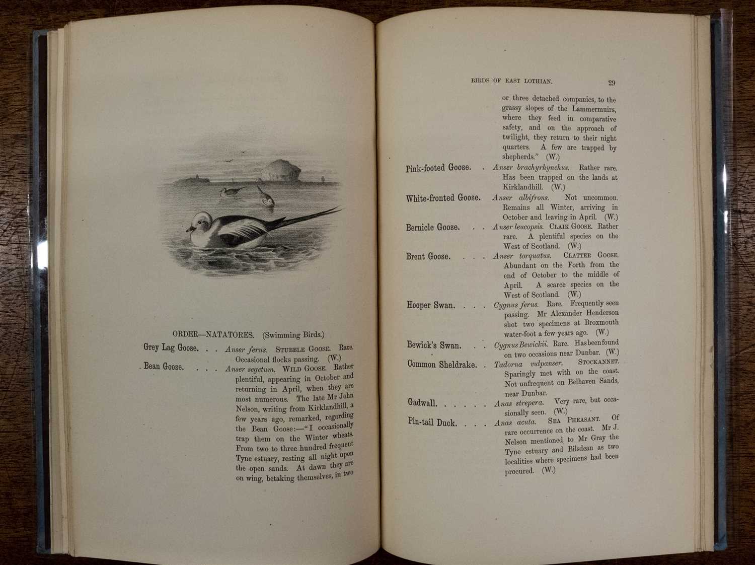 Lot 269 - Turnbull (William). The Birds of East