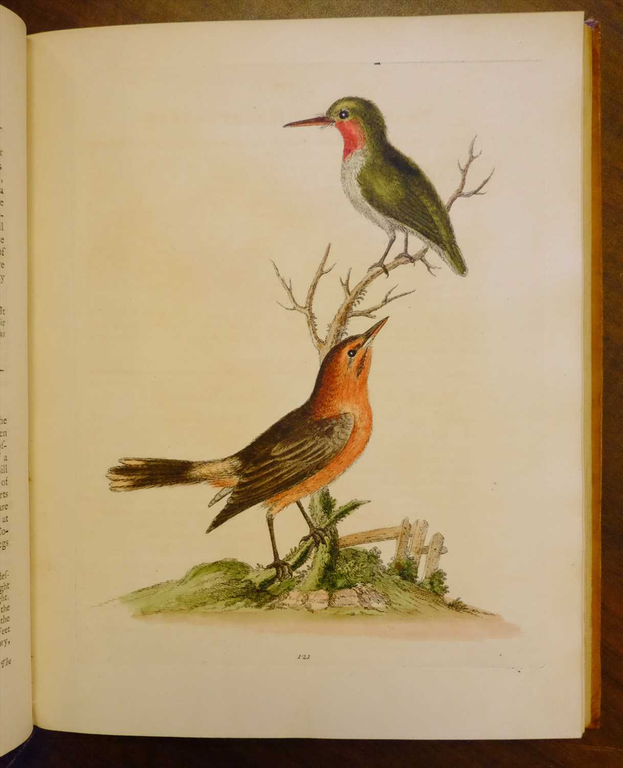 Lot 54 - Edwards (George). A Natural History of