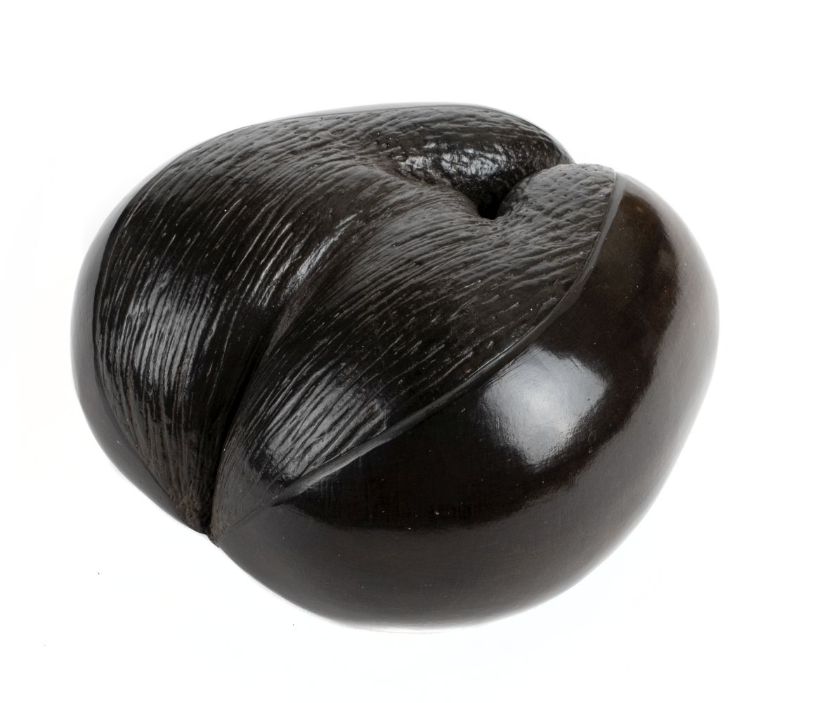Lot 95 - Coco de Mer. A fine example of a complete