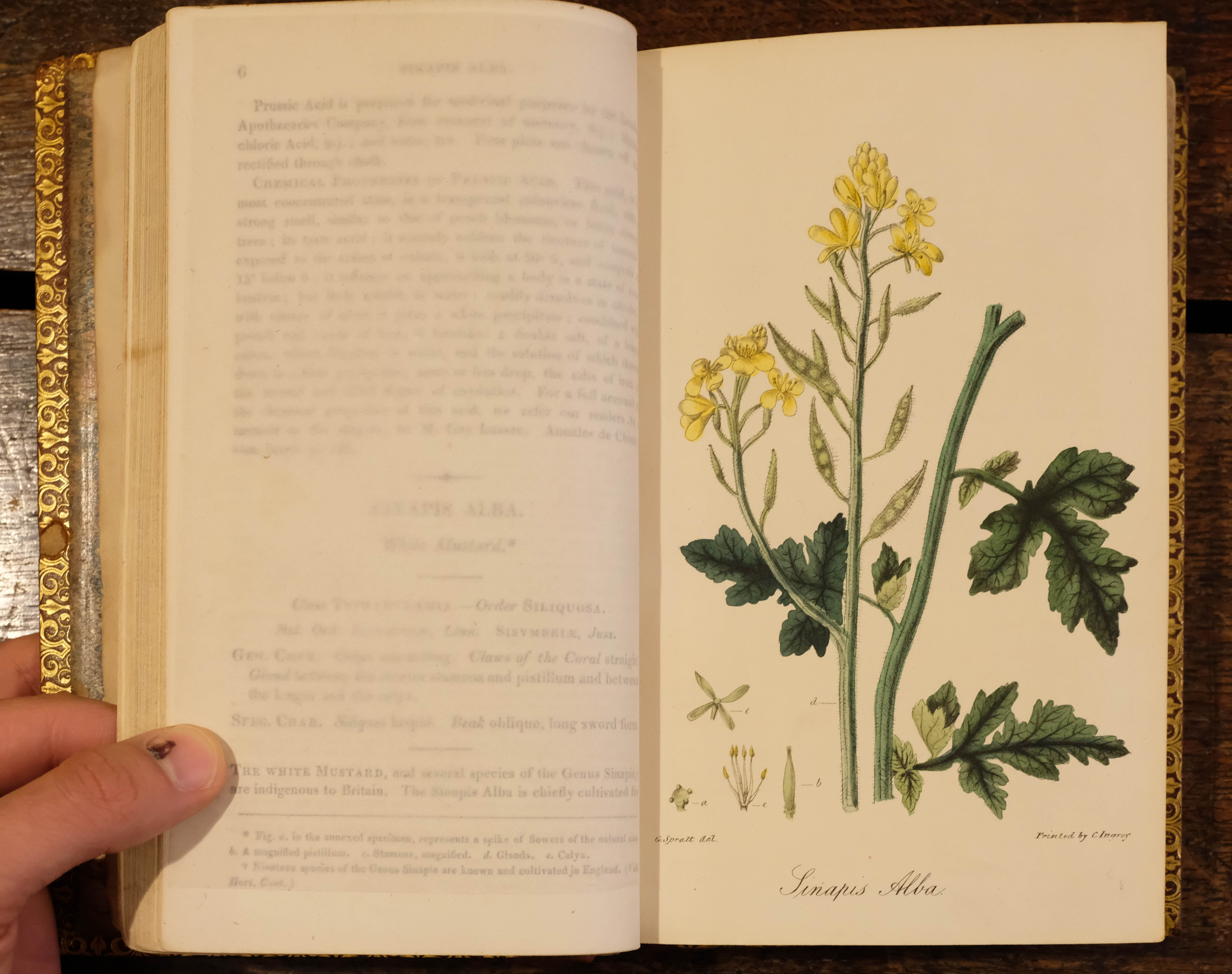 Lot 262 - Spratt (George). Flora Medica, 1st edition,