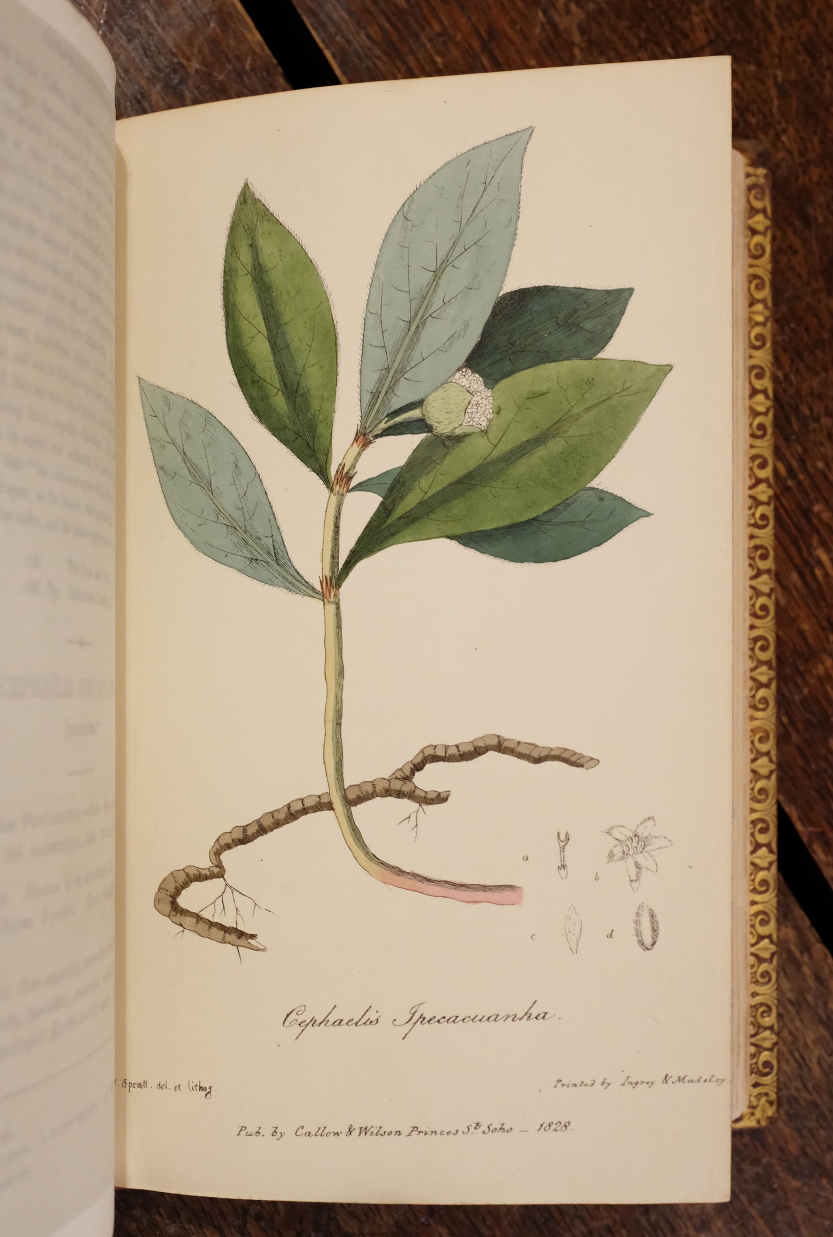 Lot 262 - Spratt (George). Flora Medica, 1st edition,