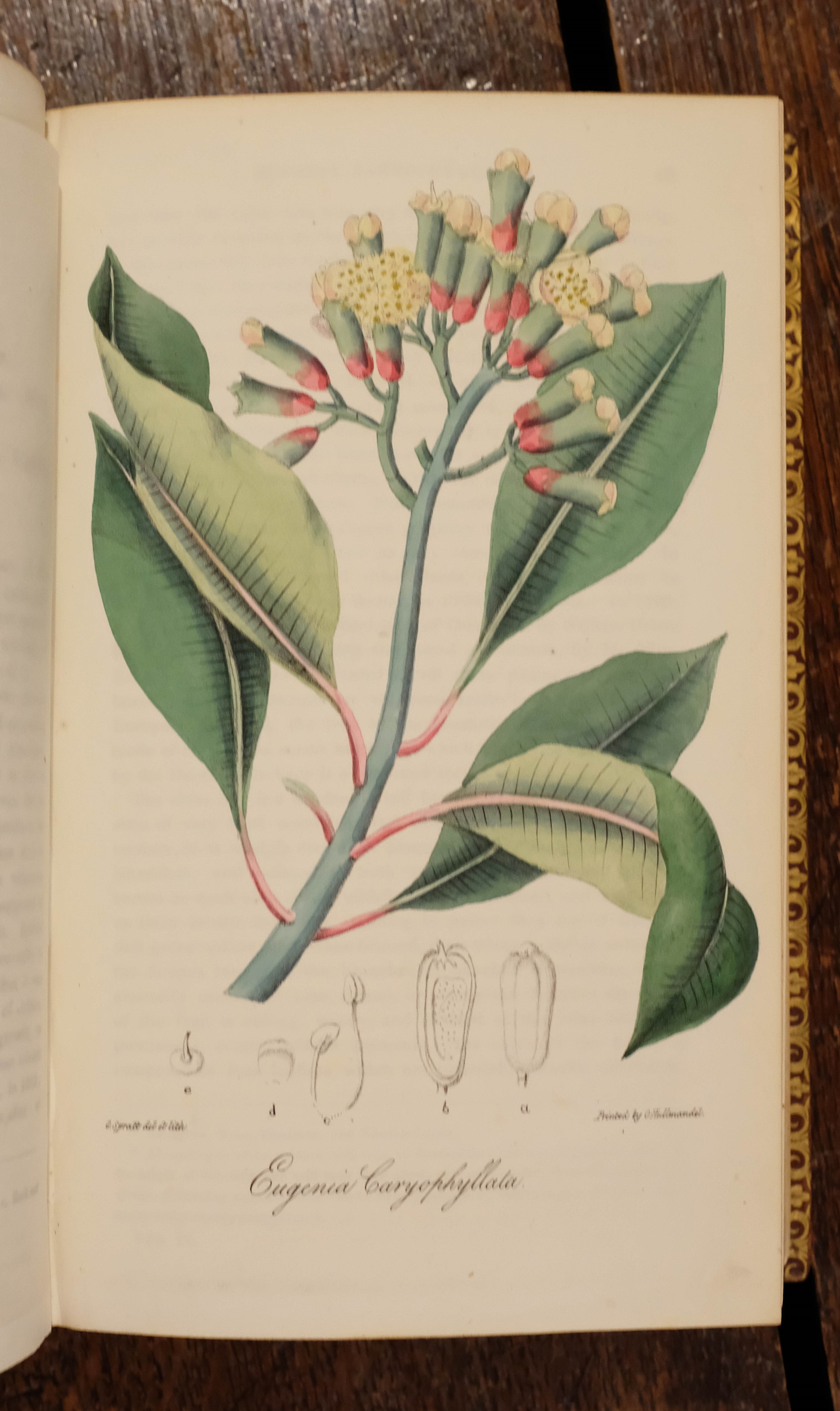 Lot 262 - Spratt (George). Flora Medica, 1st edition,