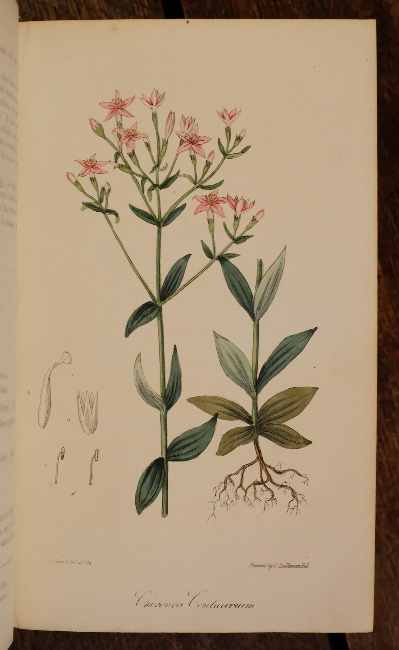 Lot 262 - Spratt (George). Flora Medica, 1st edition,