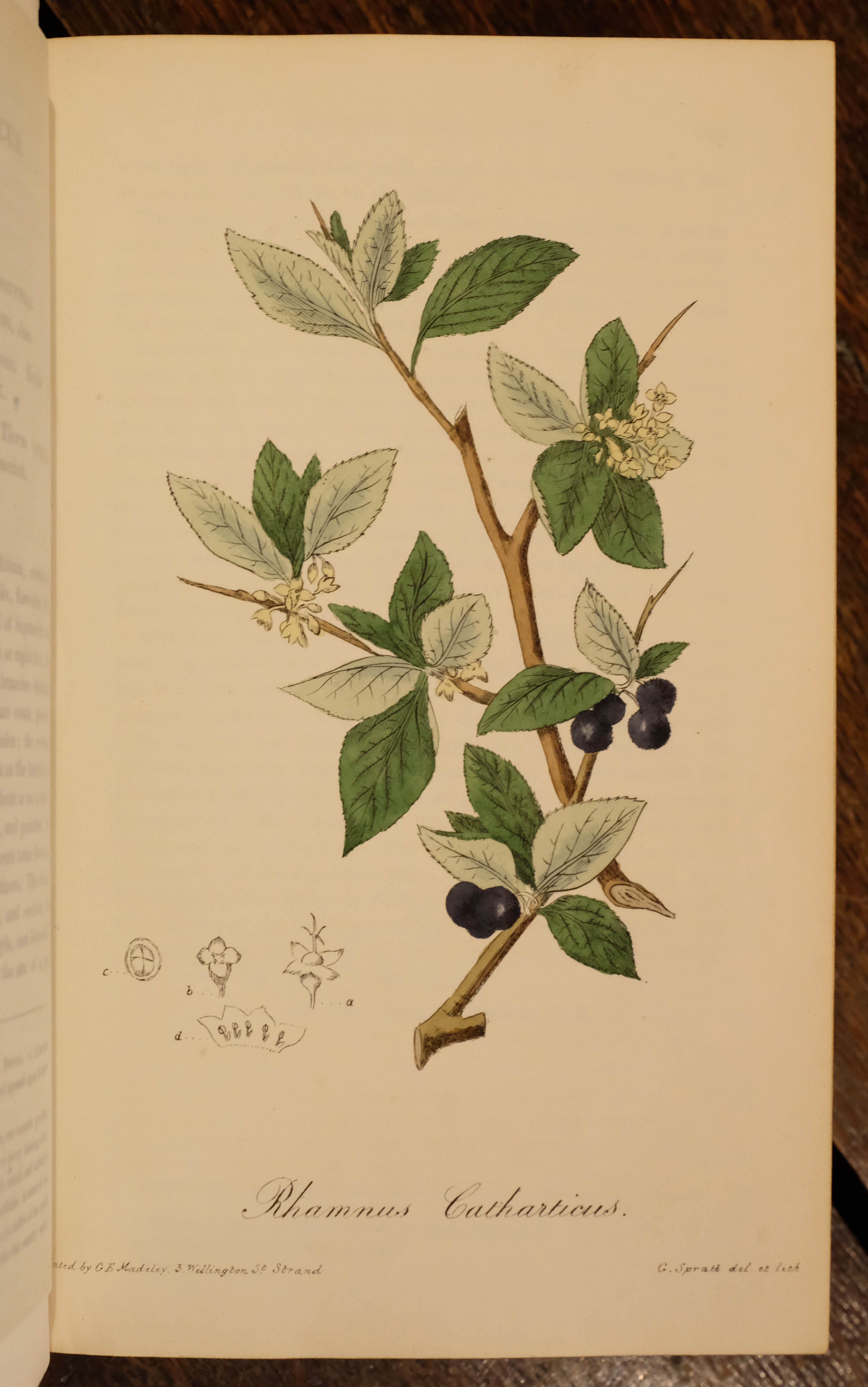 Lot 262 - Spratt (George). Flora Medica, 1st edition,