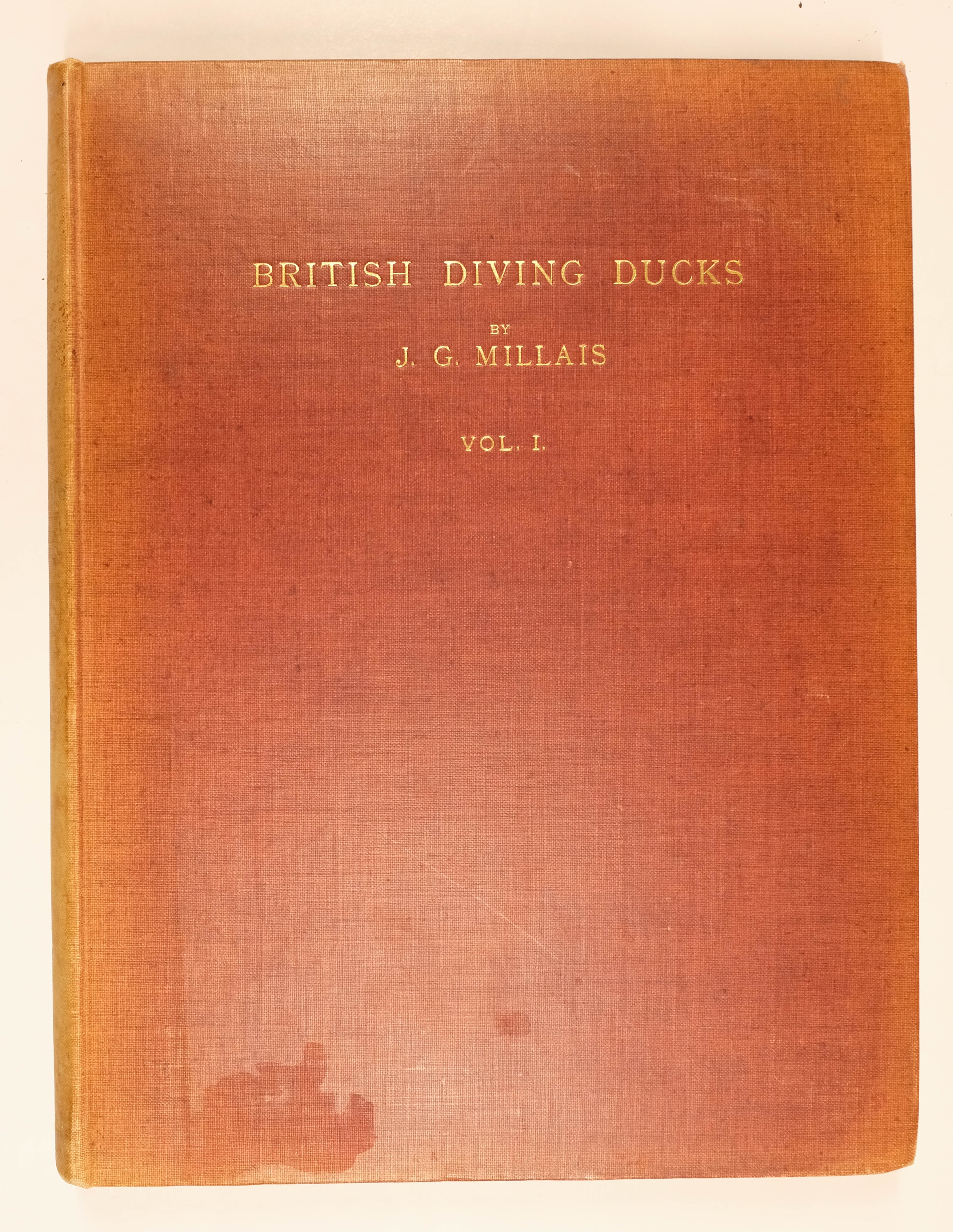 Lot 87 - Millais (John Guille). British Diving Ducks,