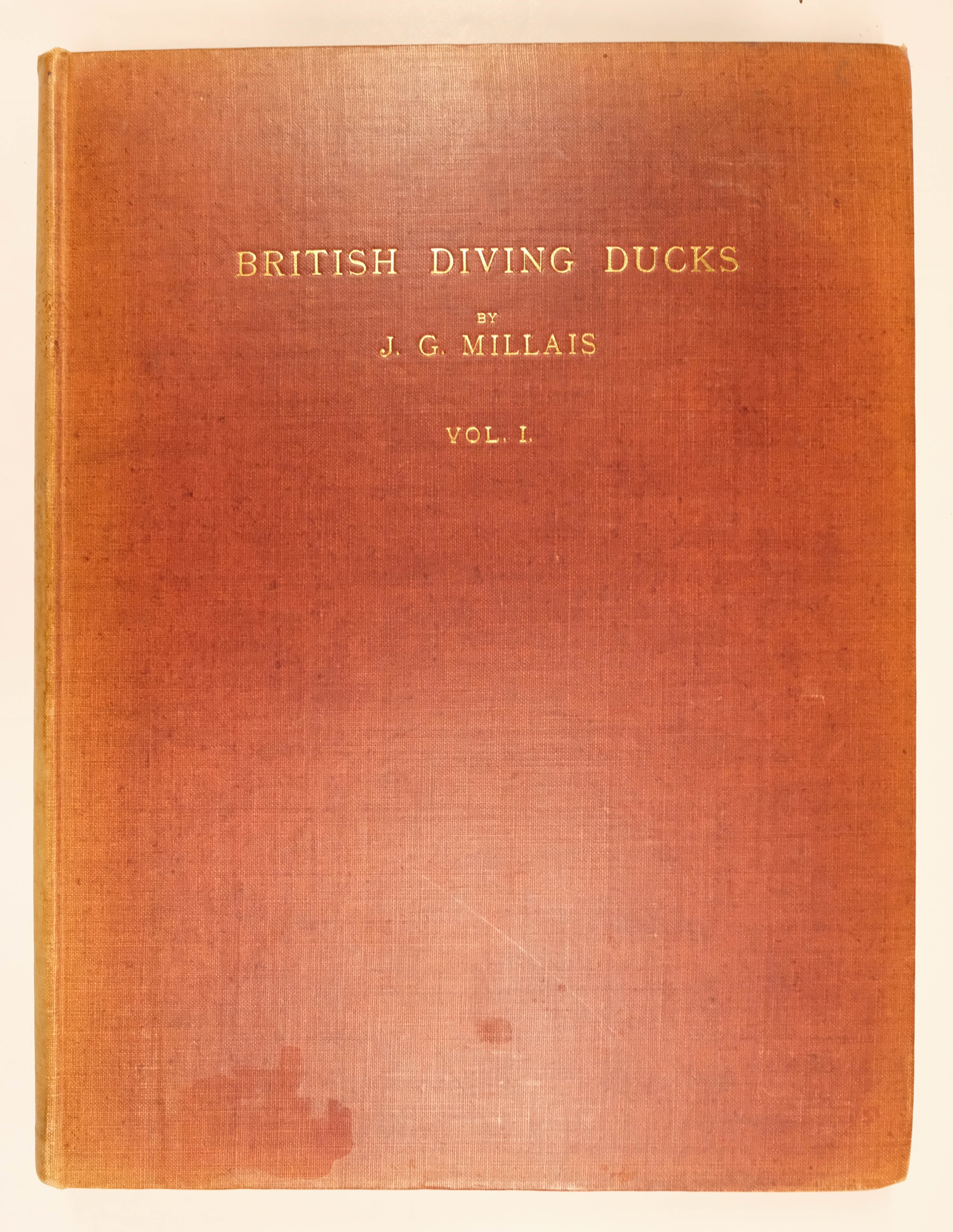 Lot 87 - Millais (John Guille). British Diving Ducks,