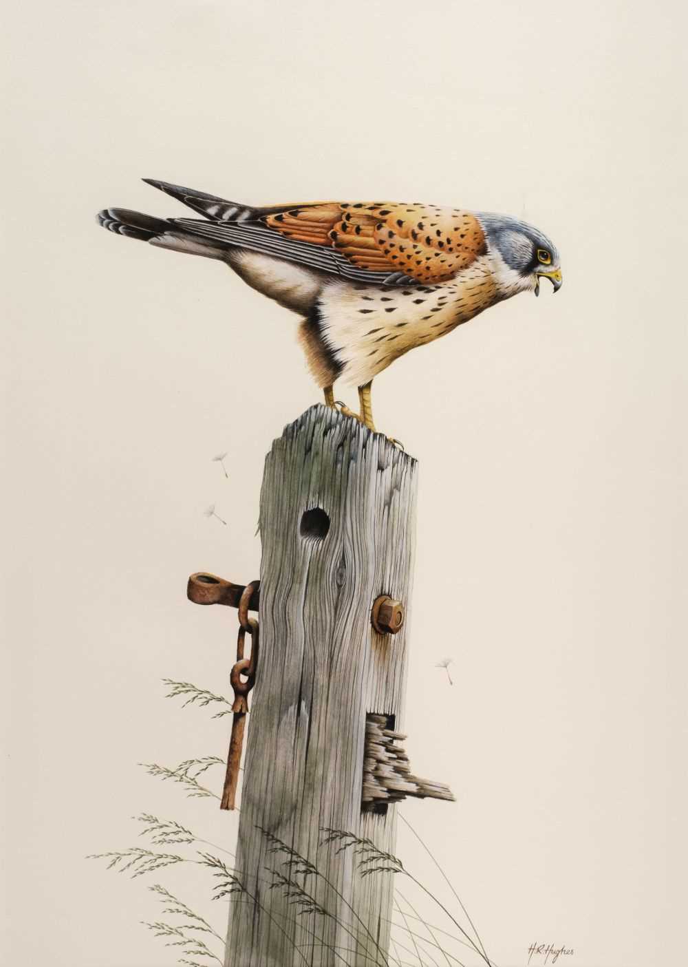 Lot 675 - Hughes (H.Richard, 20th century).