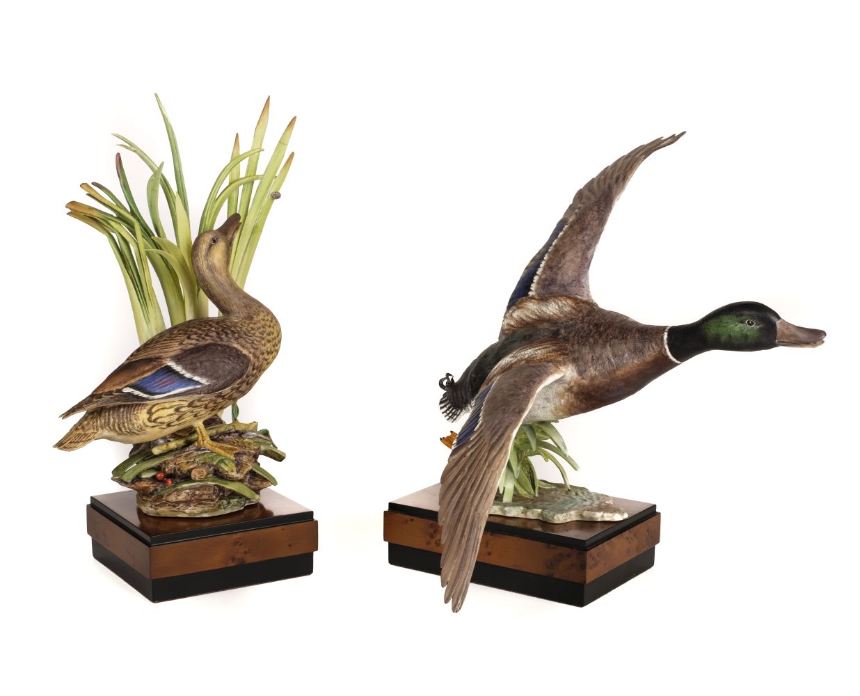 Lot 321 - Royal Worcester. A pair of Mallard models