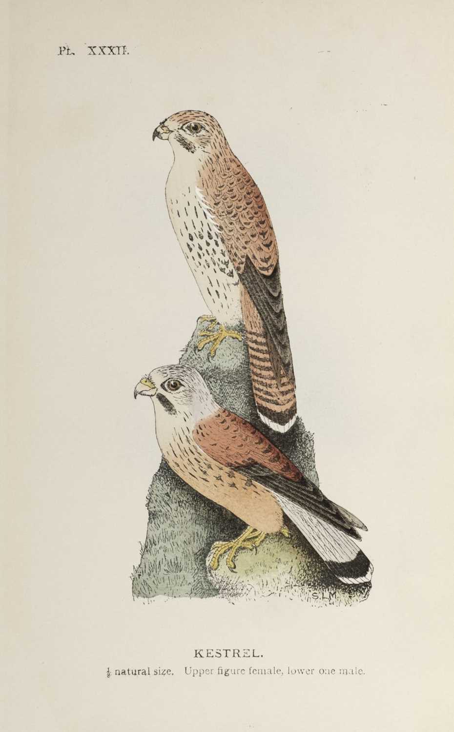 Lot 153 - Mosley (S. L.). An Account of the Birds of