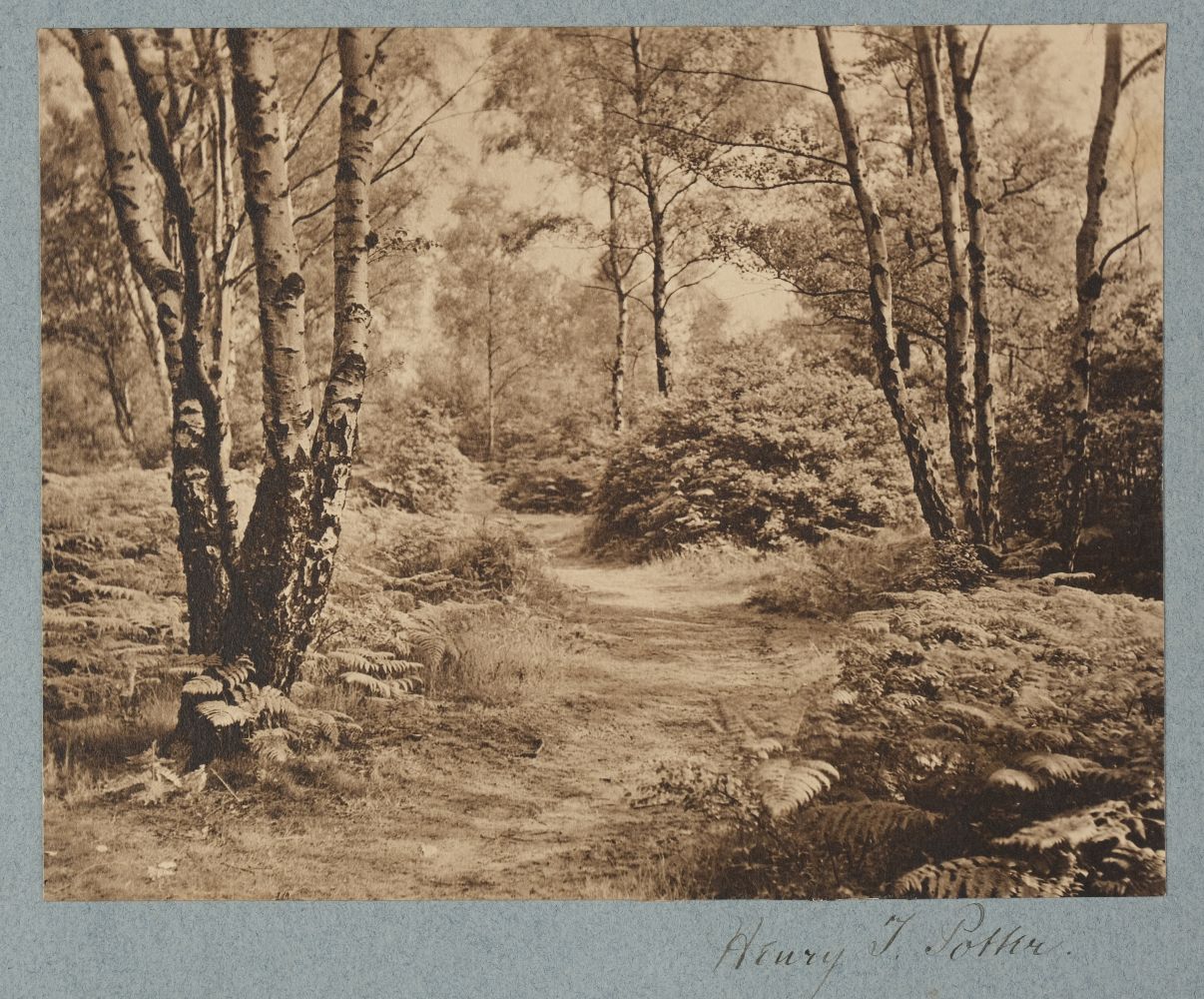 Lot 78 - Pictorialism. A group of 22 mounted