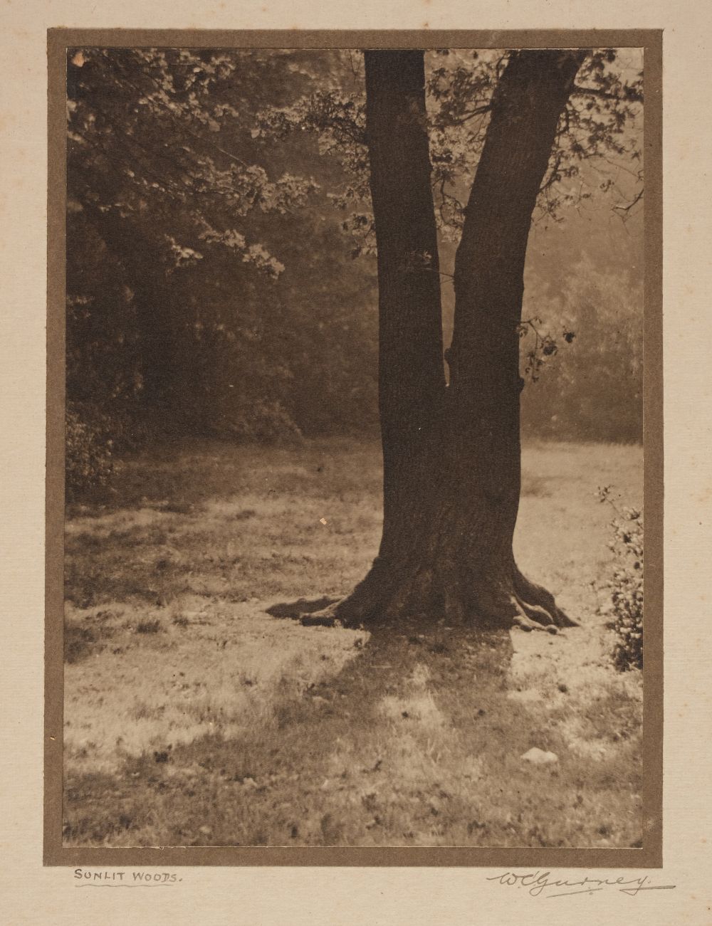 Lot 78 - Pictorialism. A group of 22 mounted