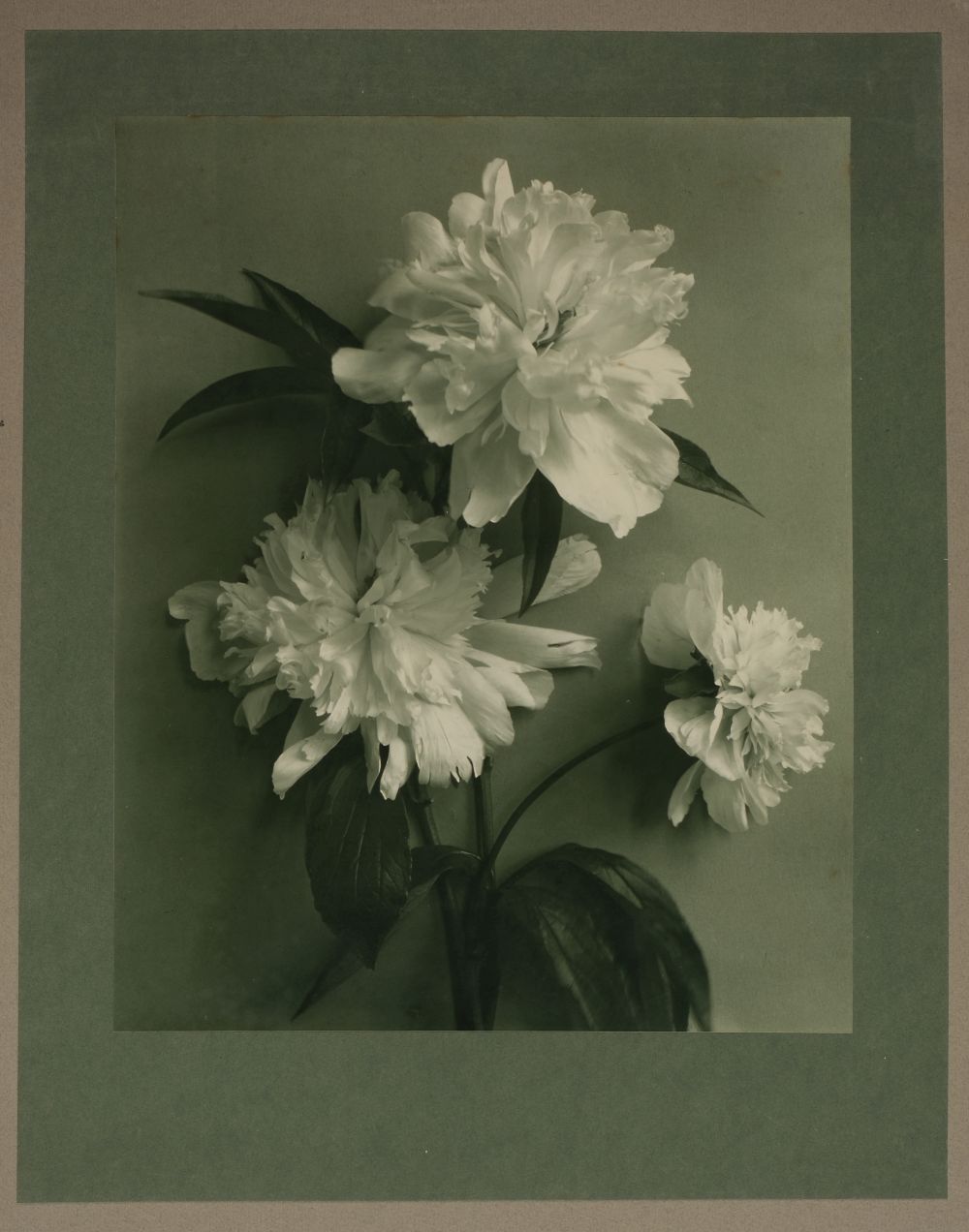 Lot 78 - Pictorialism. A group of 22 mounted