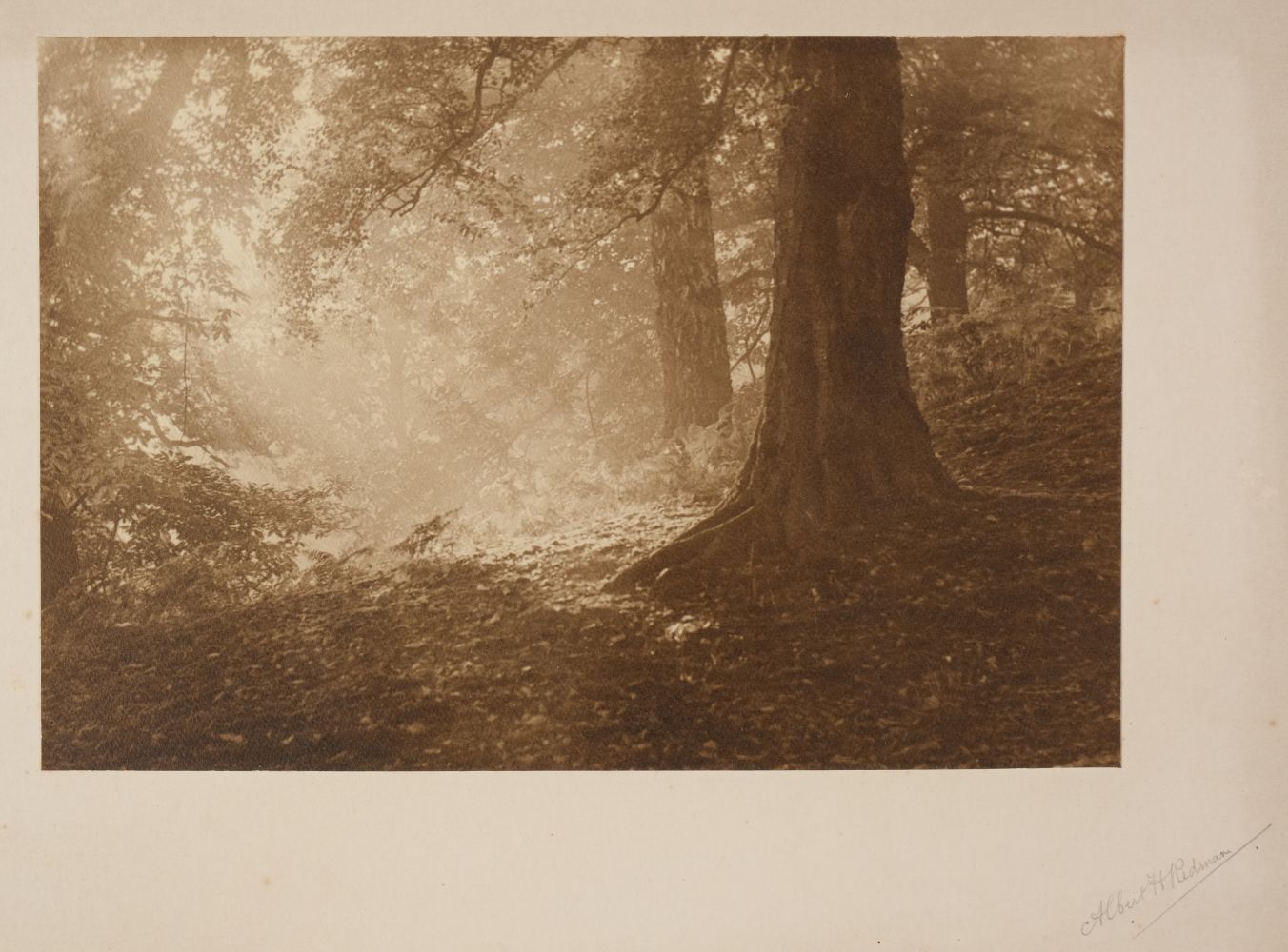 Lot 78 - Pictorialism. A group of 22 mounted