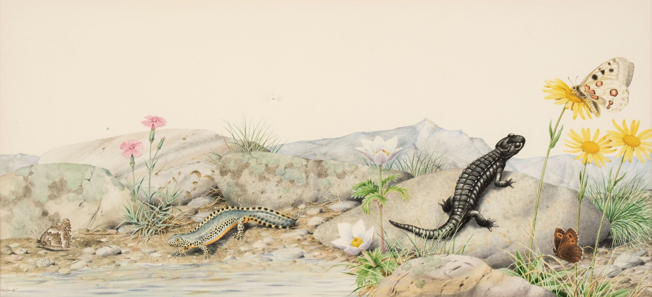 Lot 618 - Barrett (Peter, 1935-). Lizards and