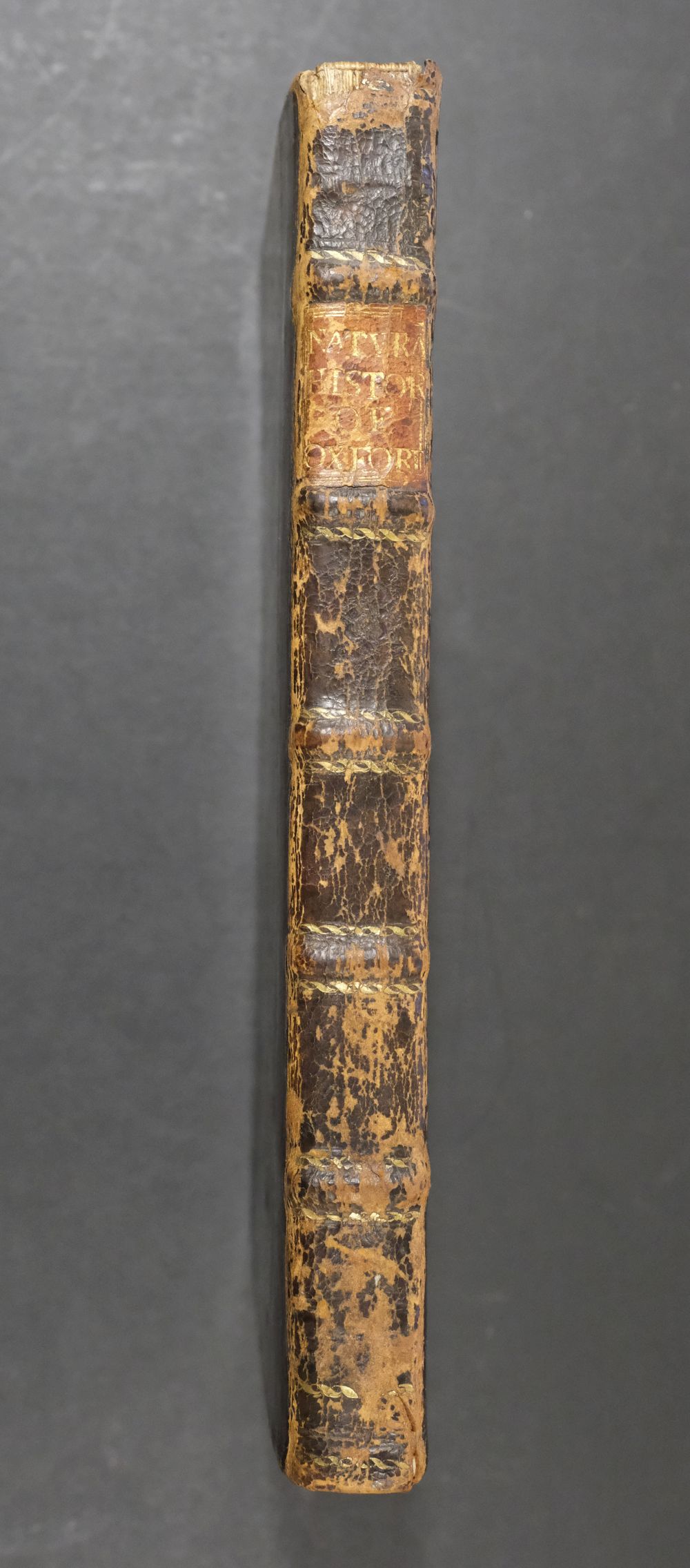 Lot 347 - Plot (Robert). The Natural History of